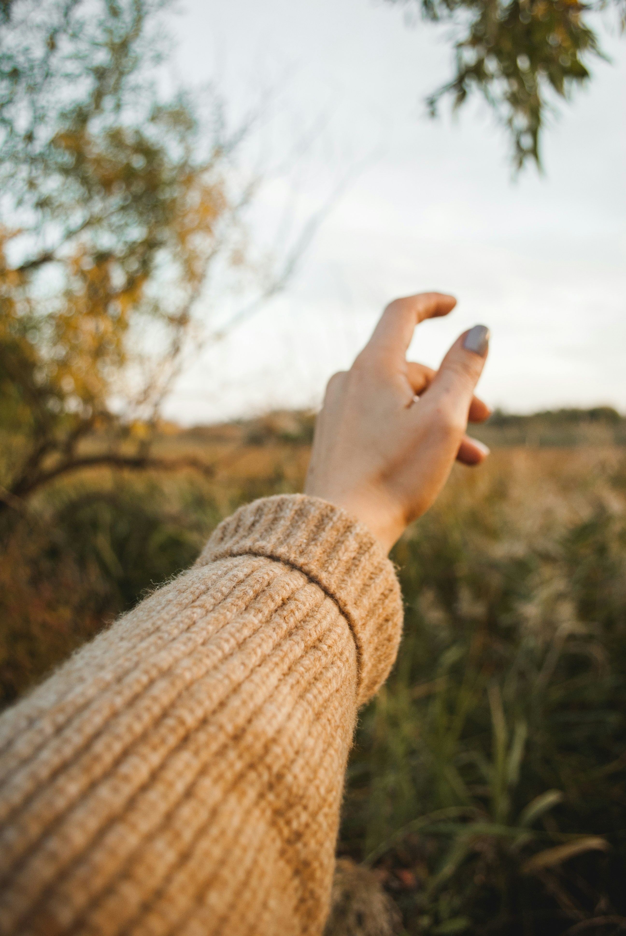 Person's left hand photo – Free Finger Image on Unsplash