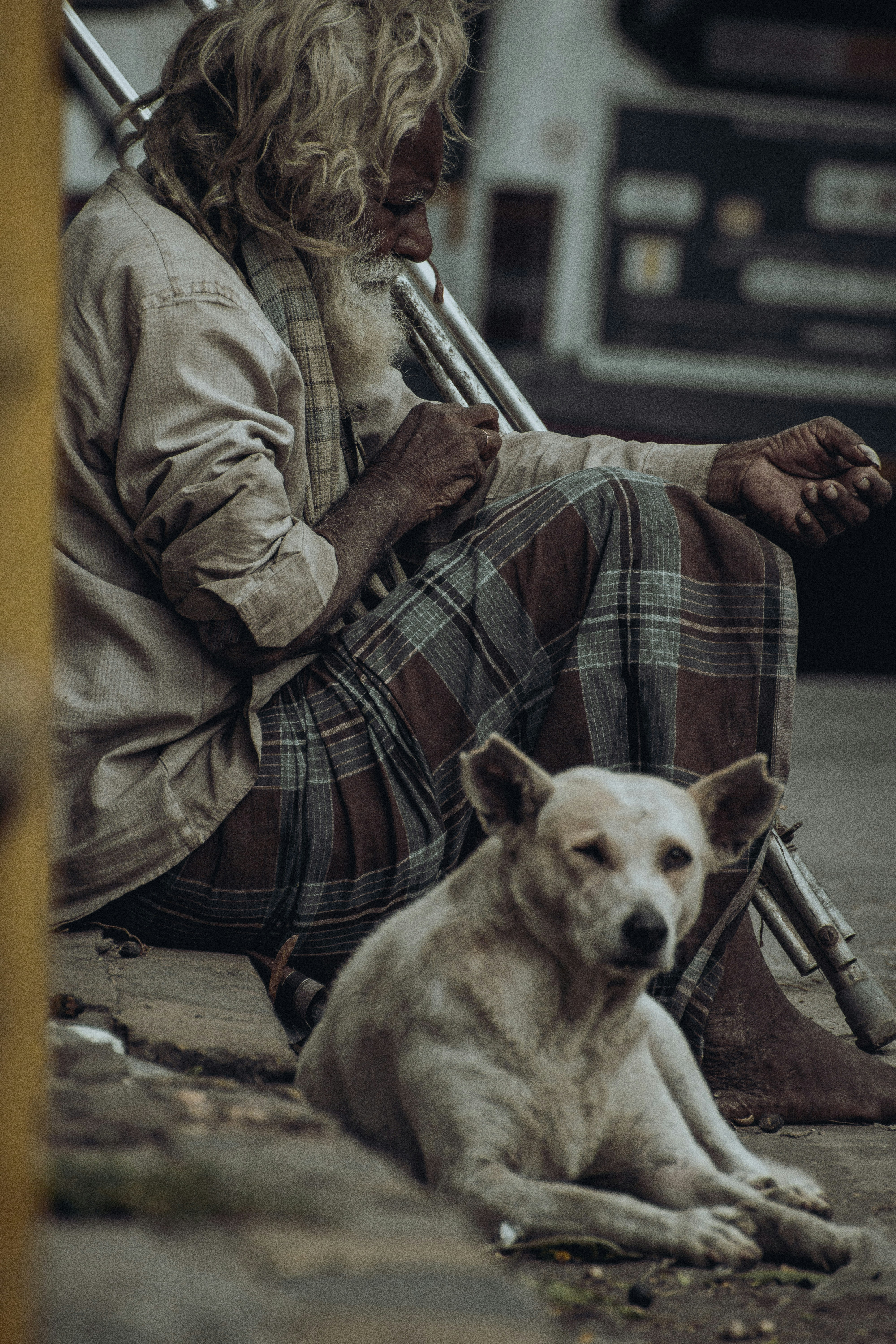 Man sitting beside dog photo – Free Human Image on Unsplash