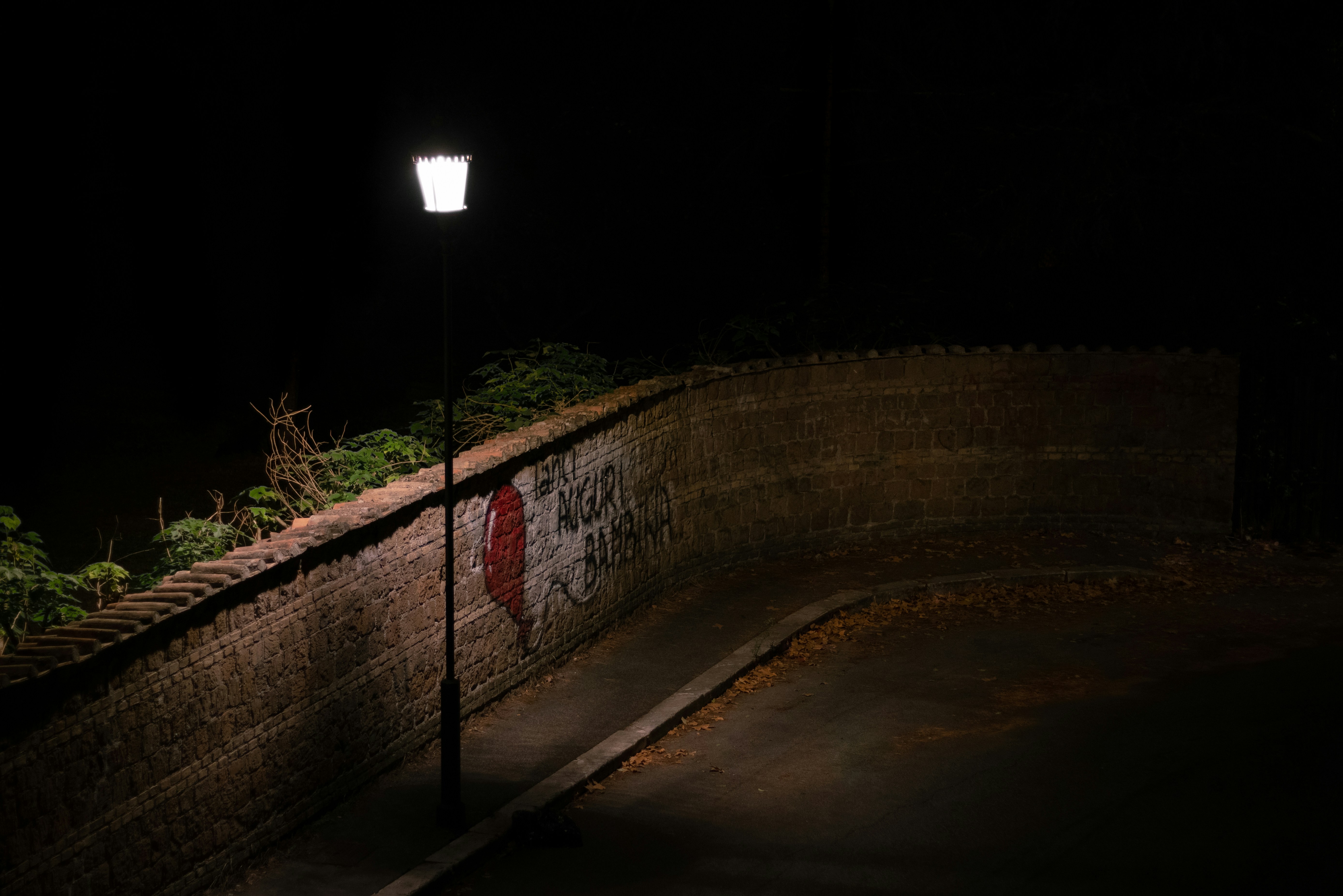 Lone Streetlamp Casts Quiet Light Along a Graffiti-Wrapped Brick Curve