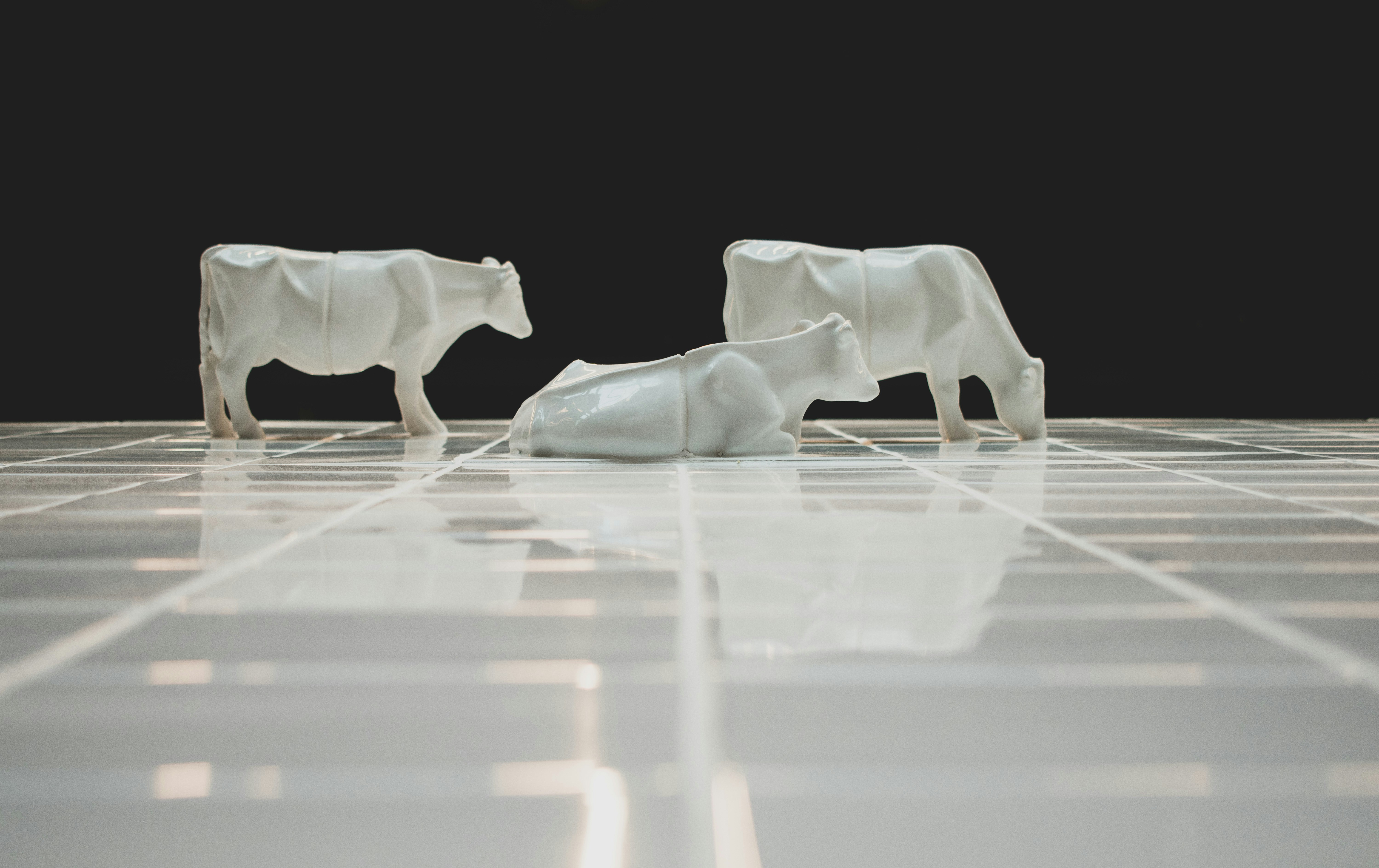 Three Horse Figures on a Glossy Grid: A Minimalist Studio Still Life