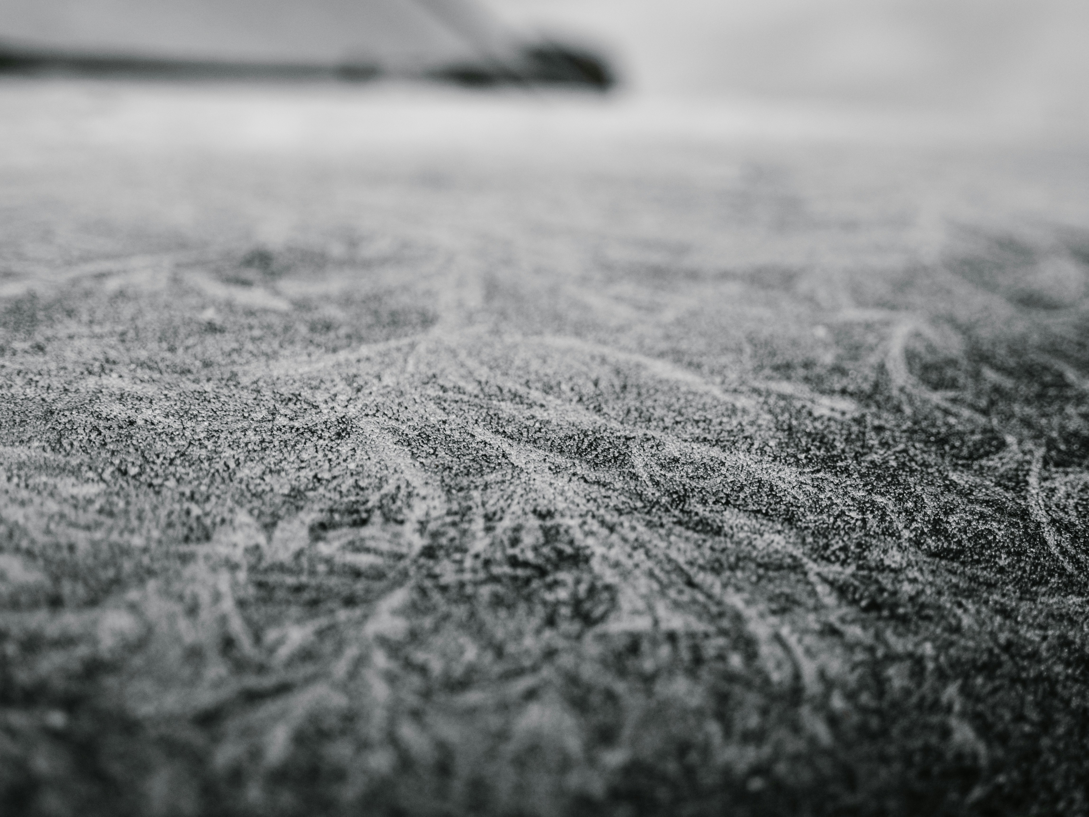 Photo by Matt Seymour with Panasonic Lumix G7