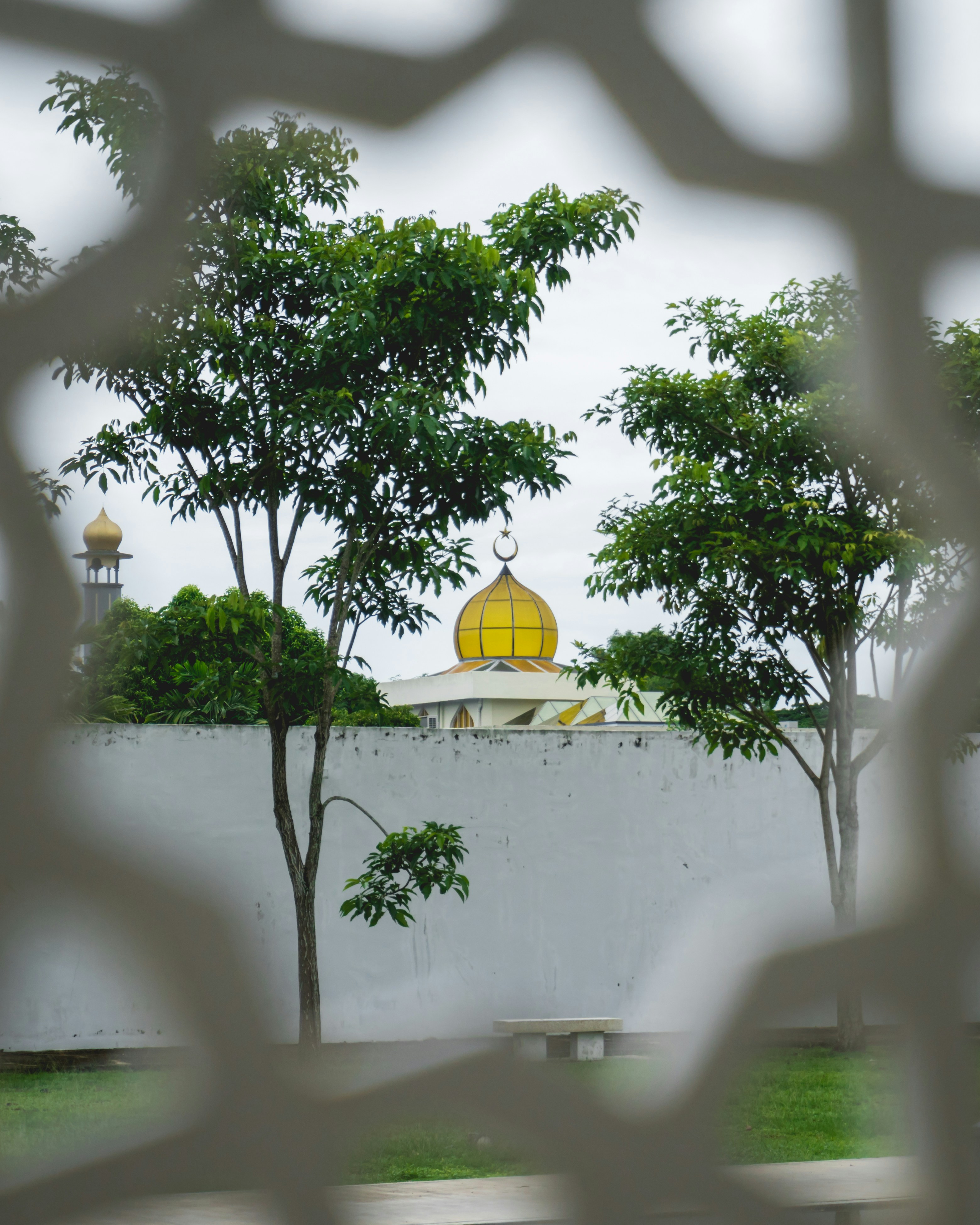 Pekan Photos | Télécharger des images gratuites sur Unsplash