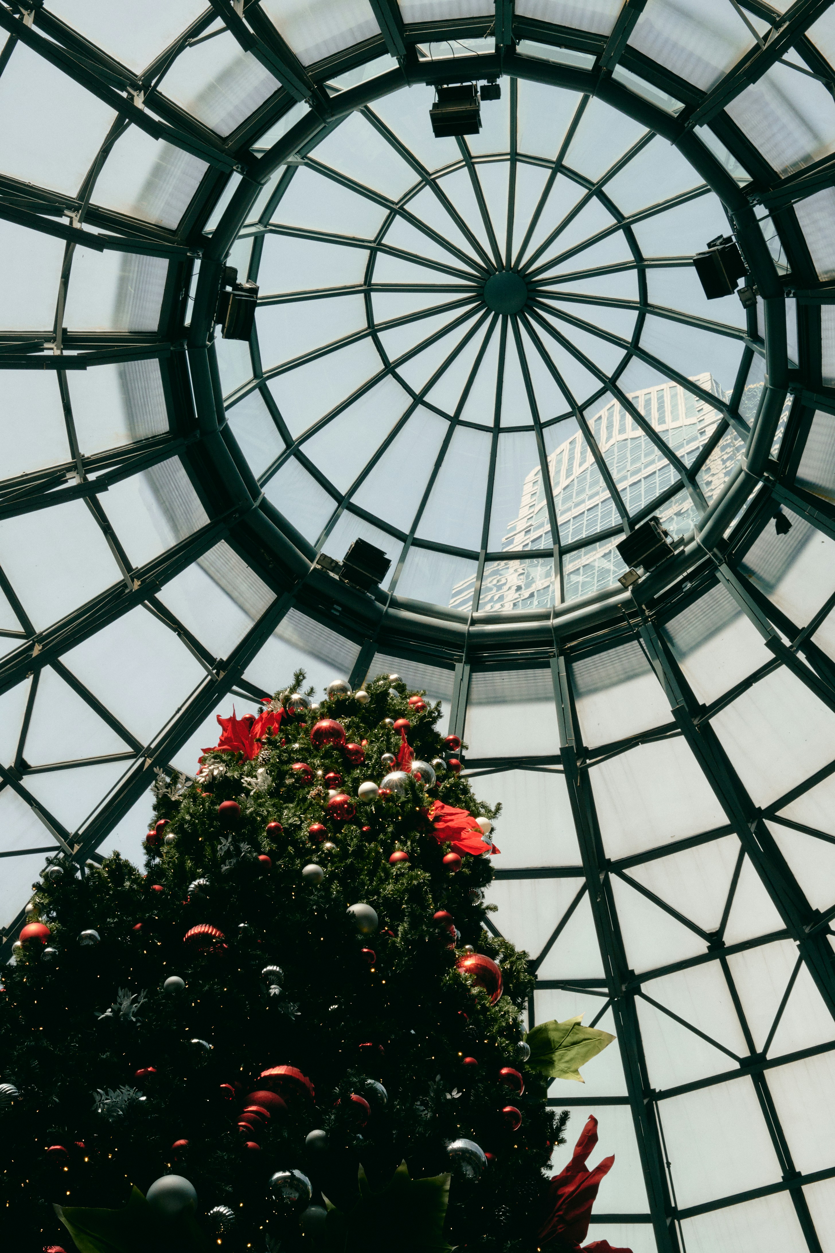 Under the Circular Glass Dome: A Festive Tree Framed by Radiating Rails