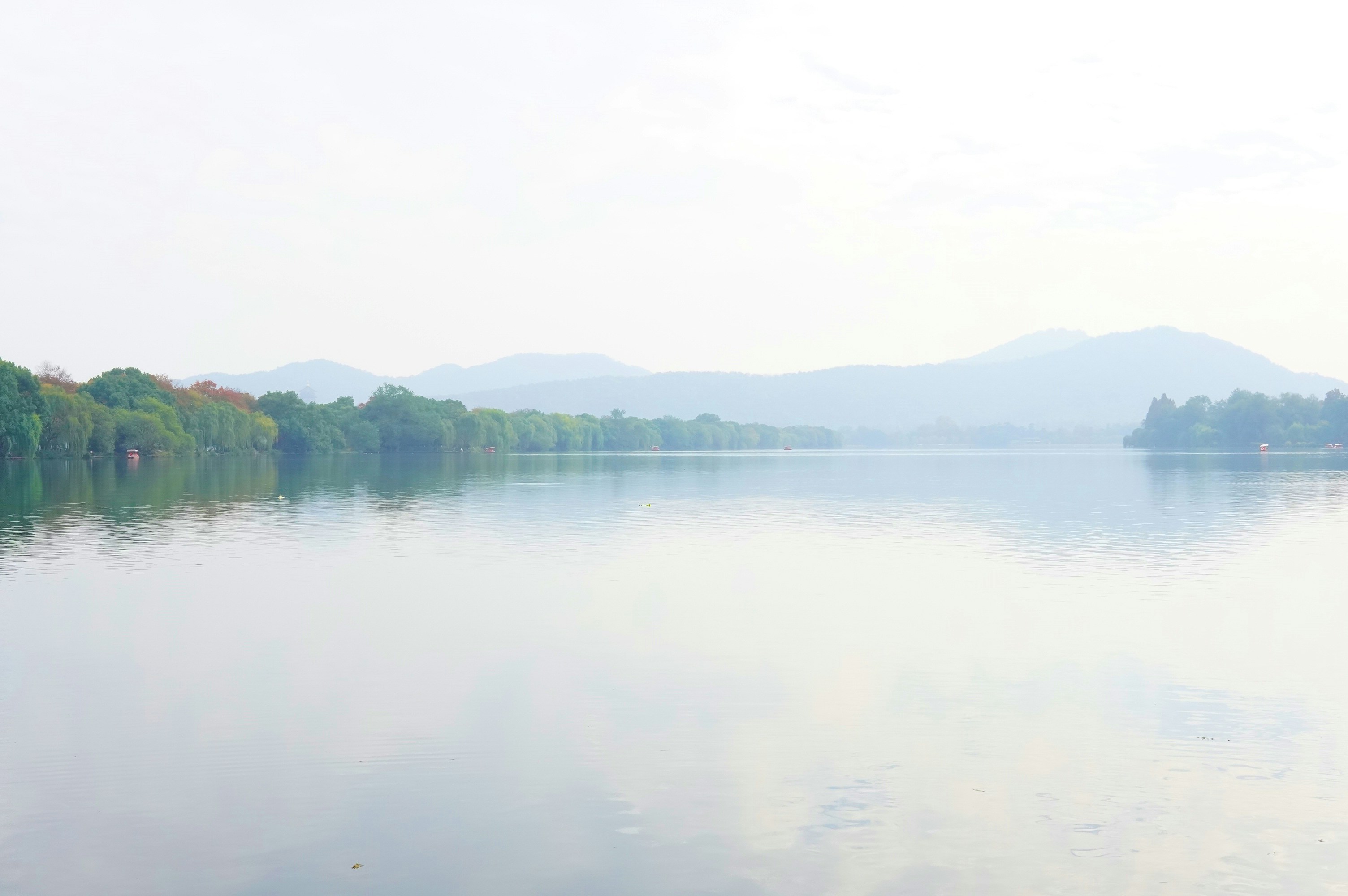 green trees near body of water during daytime