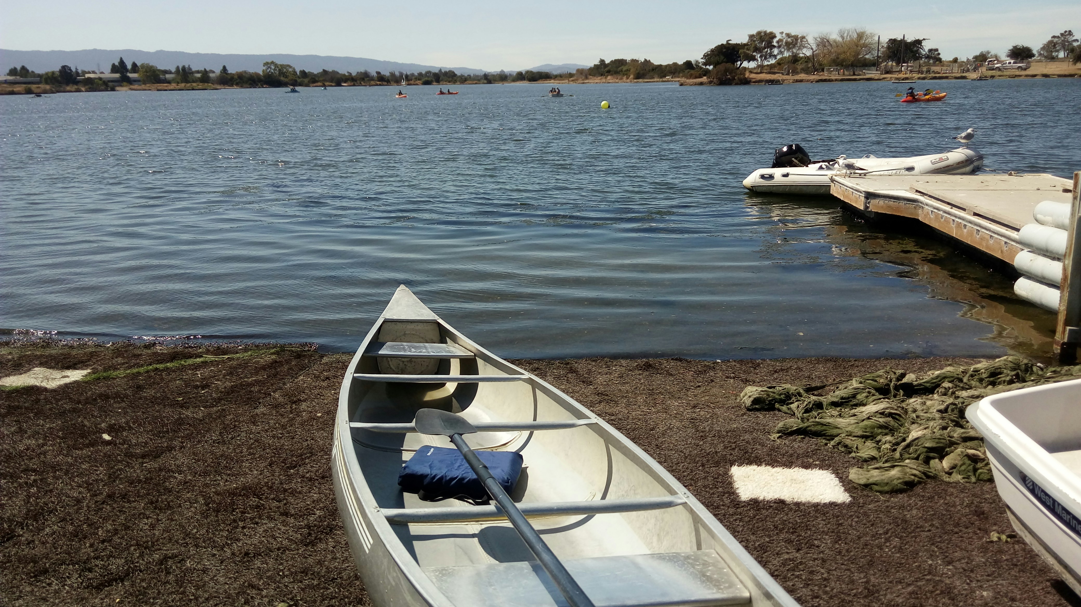 Tranquil Afternoon by the Lakeside Canoe