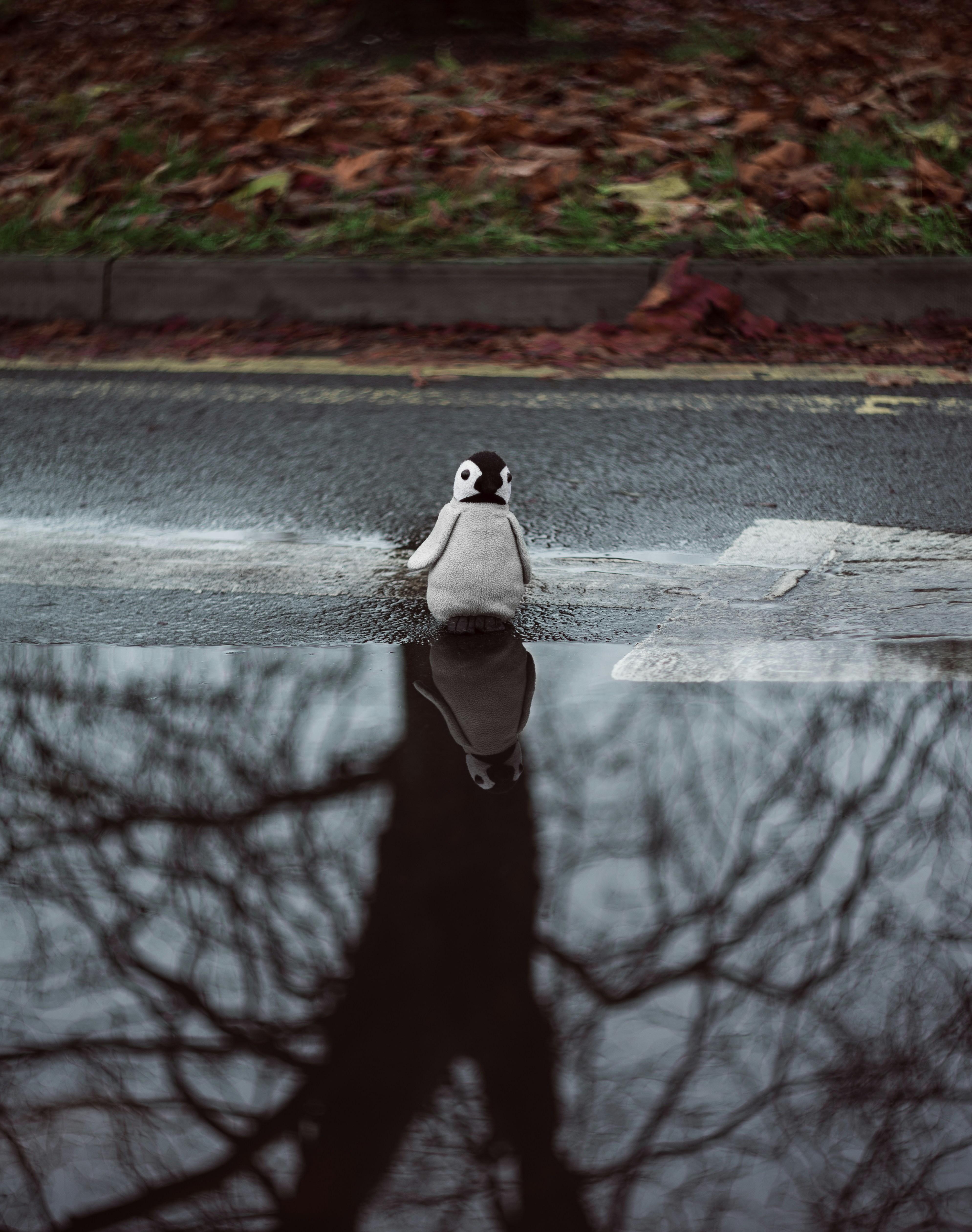 Reflective Idle: A Plush Penguin on a Rain-Slick Street