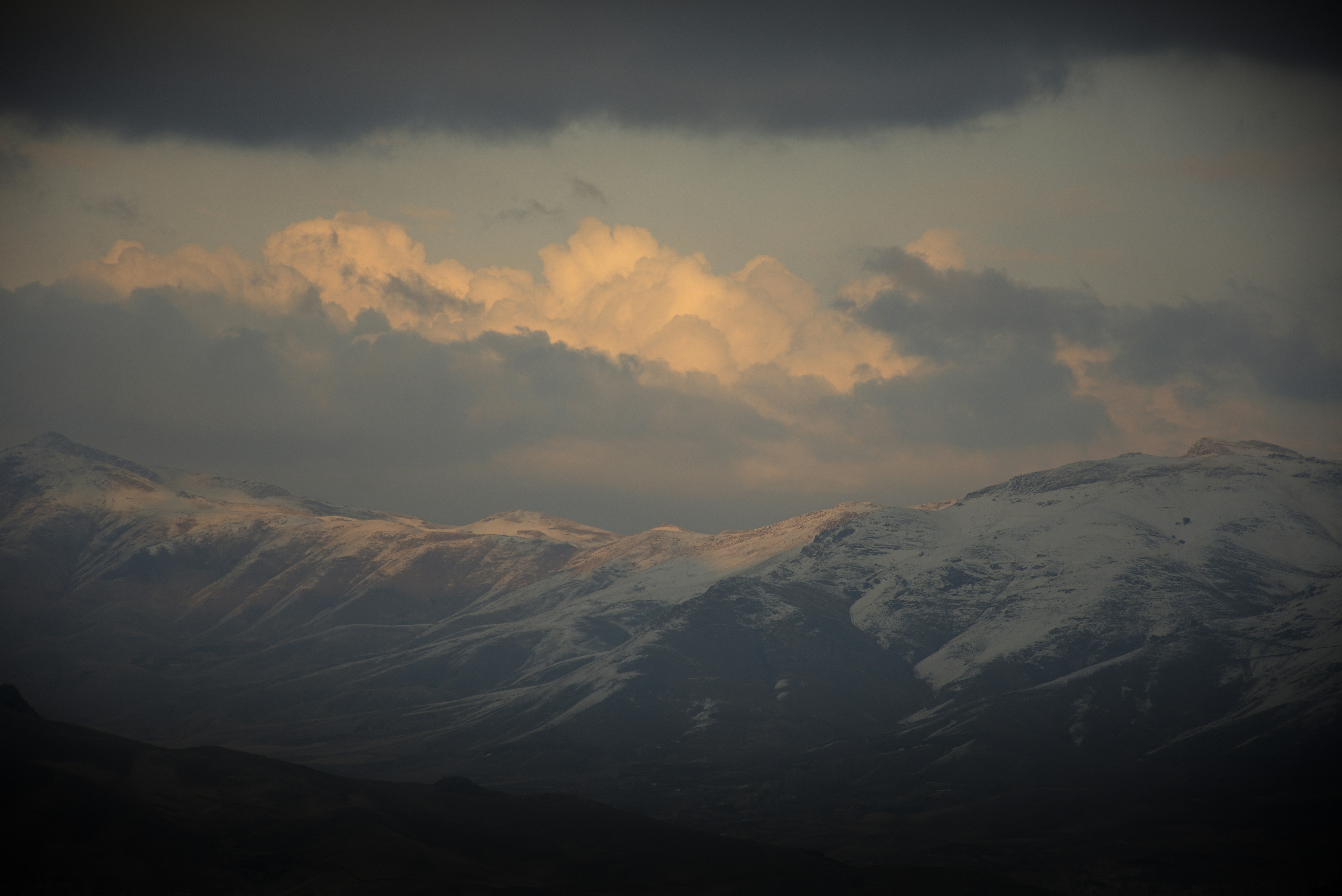 Warm Color Pictures | Download Free Images on Unsplash