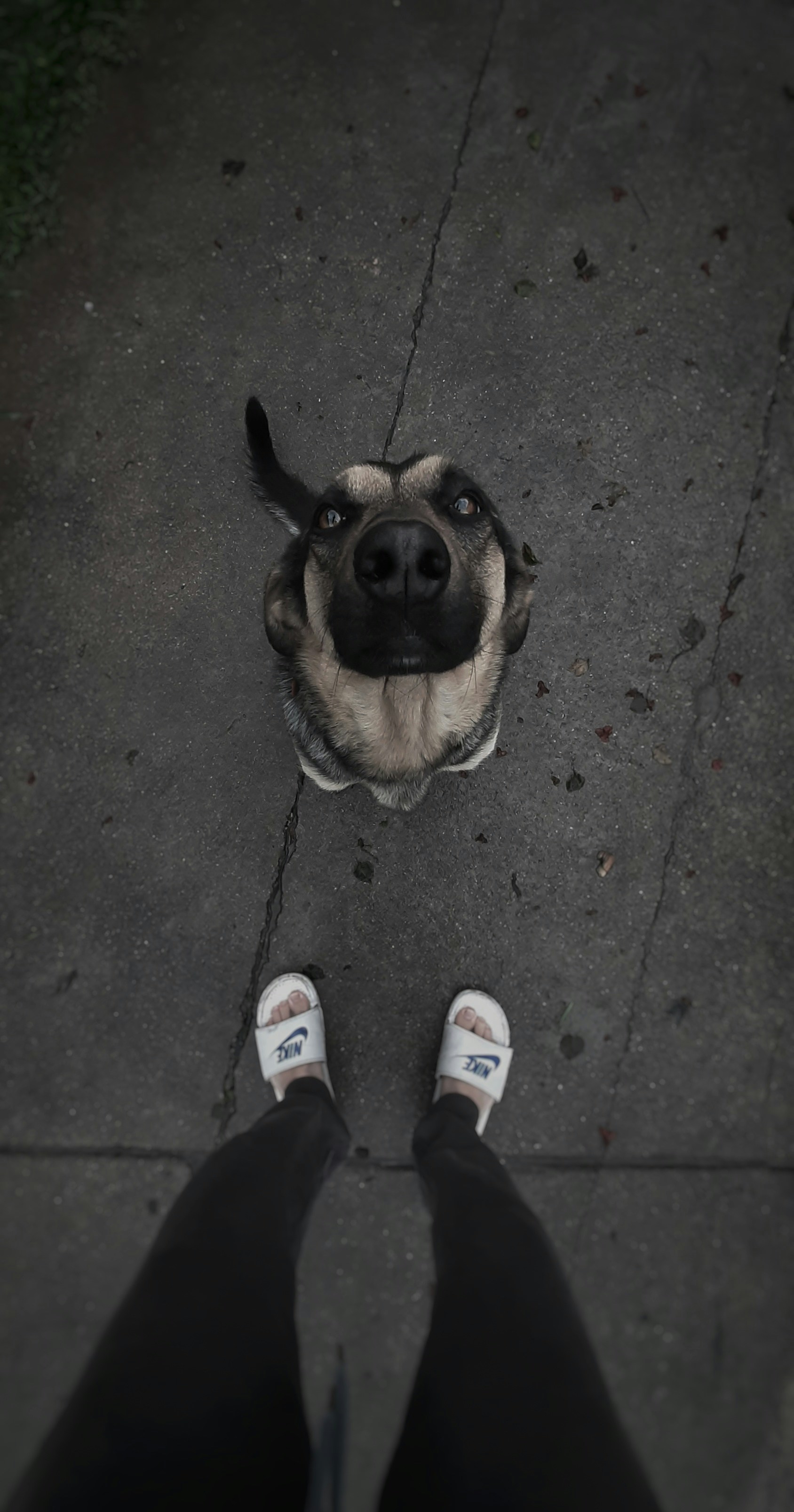 Psy Pictures | Download Free Images on Unsplash