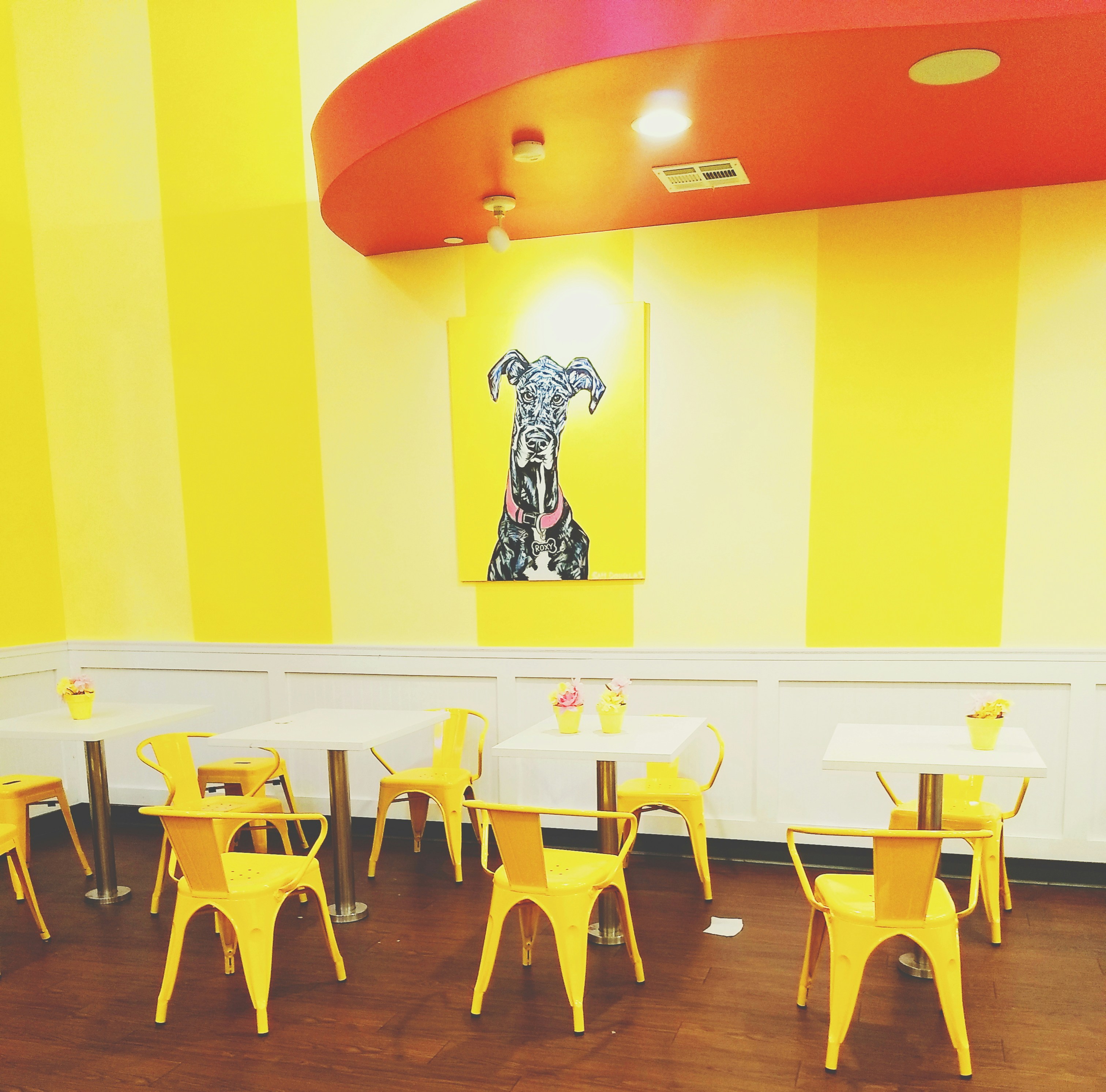 Bright cafe interior with bold yellow walls and matching yellow chairs; a framed dog painting hangs above white wainscoting.