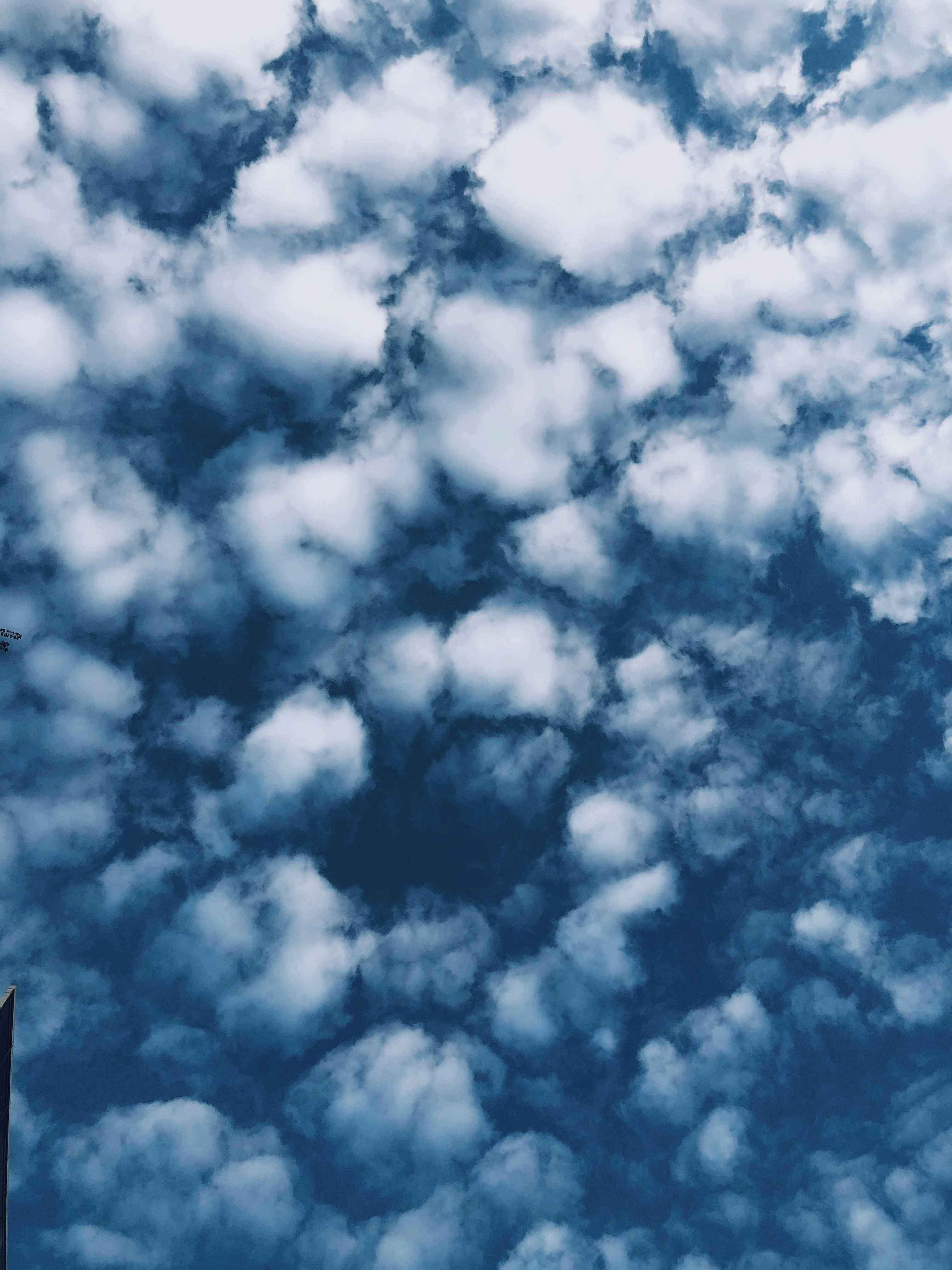 White cloud formation photo – Free Grey Image on Unsplash