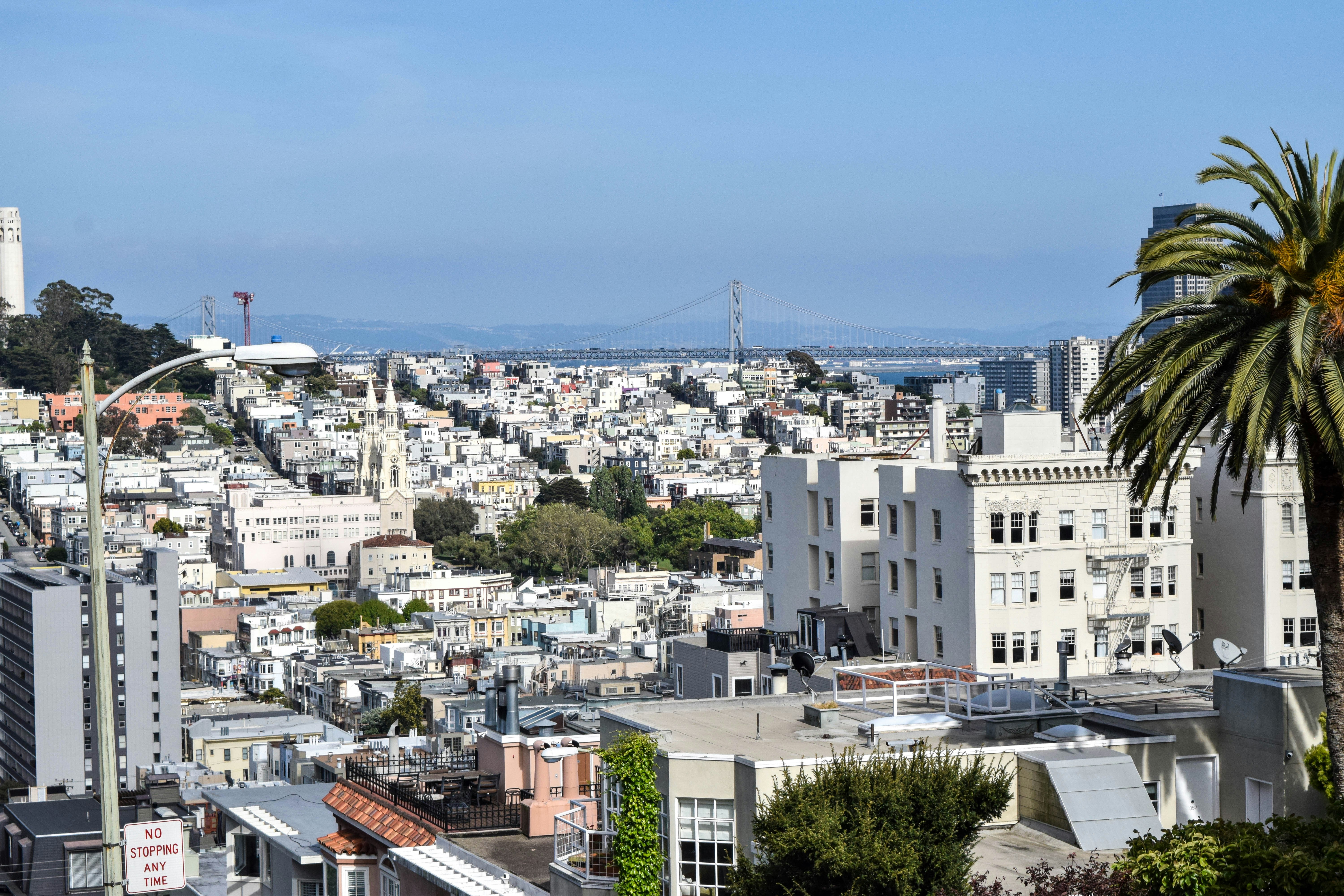 Expansive view of San Francisco from a hillside, highlighting diverse architecture and distant bay under a clear blue sky.