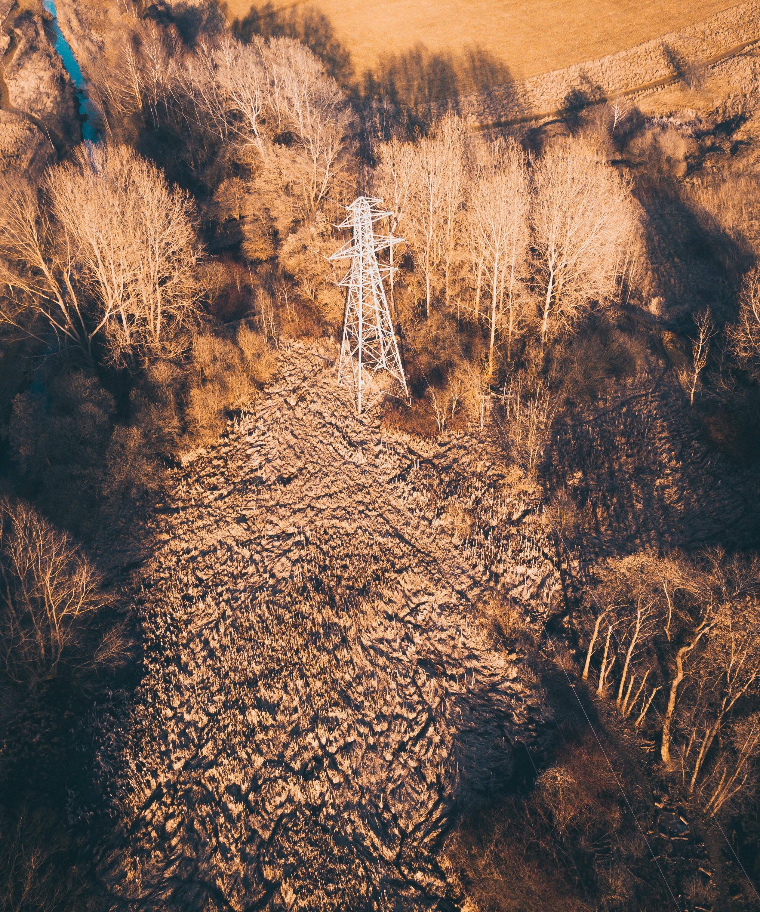 Transmission Tower Crowned by Winter Woods
