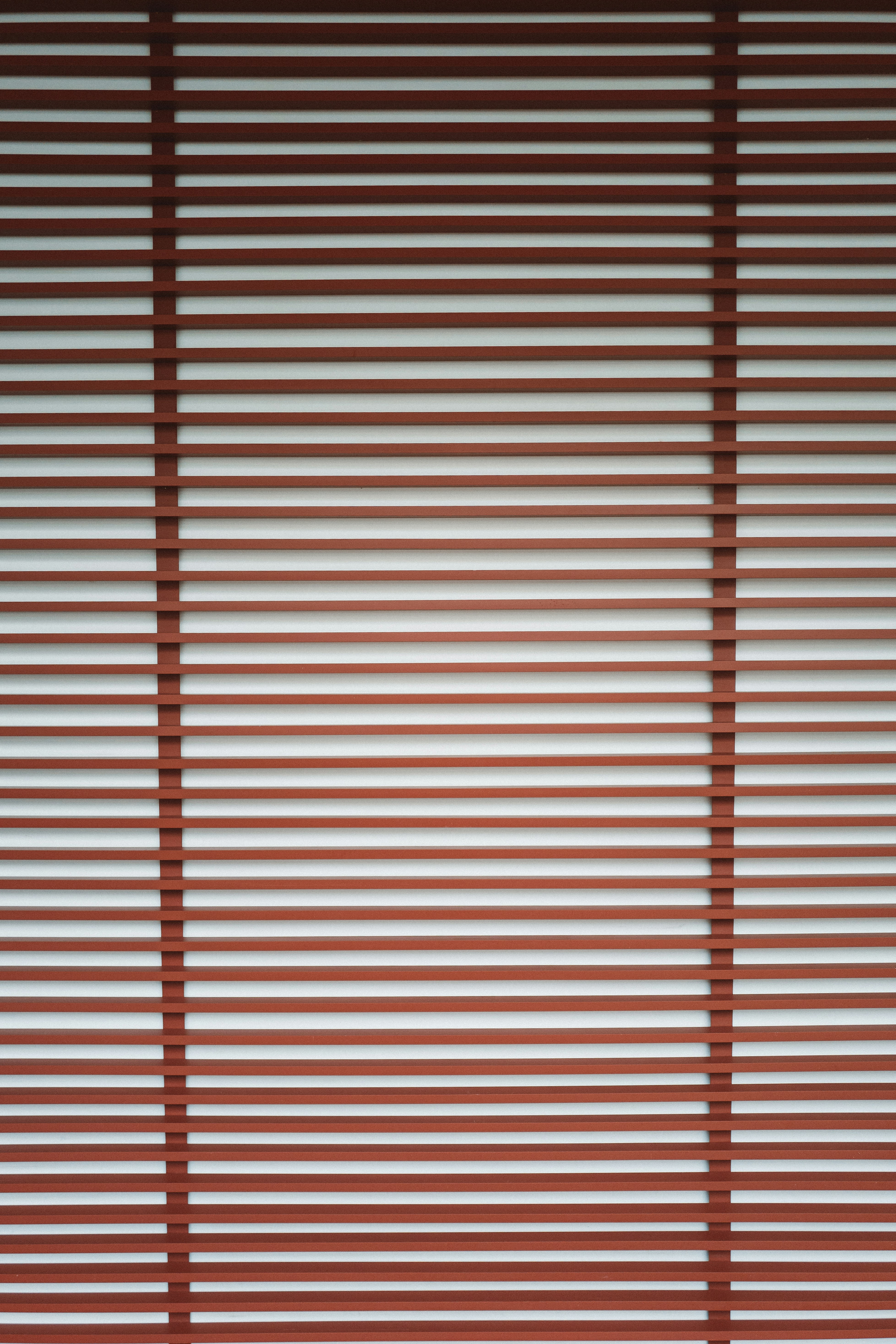 Dark Shade Pictures | Download Free Images on Unsplash