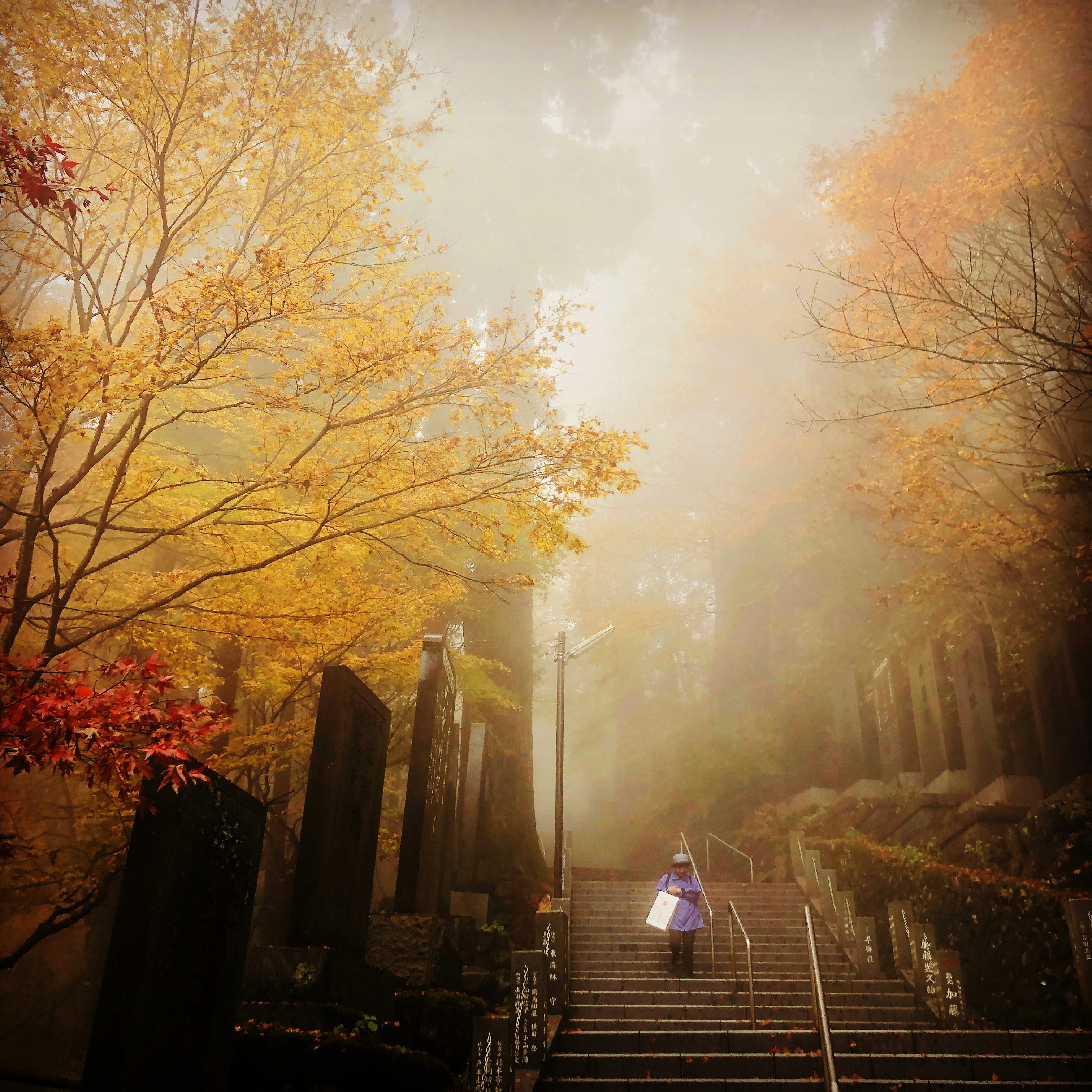 Person in a purple coat ascending misty stone steps surrounded by autumn trees.
