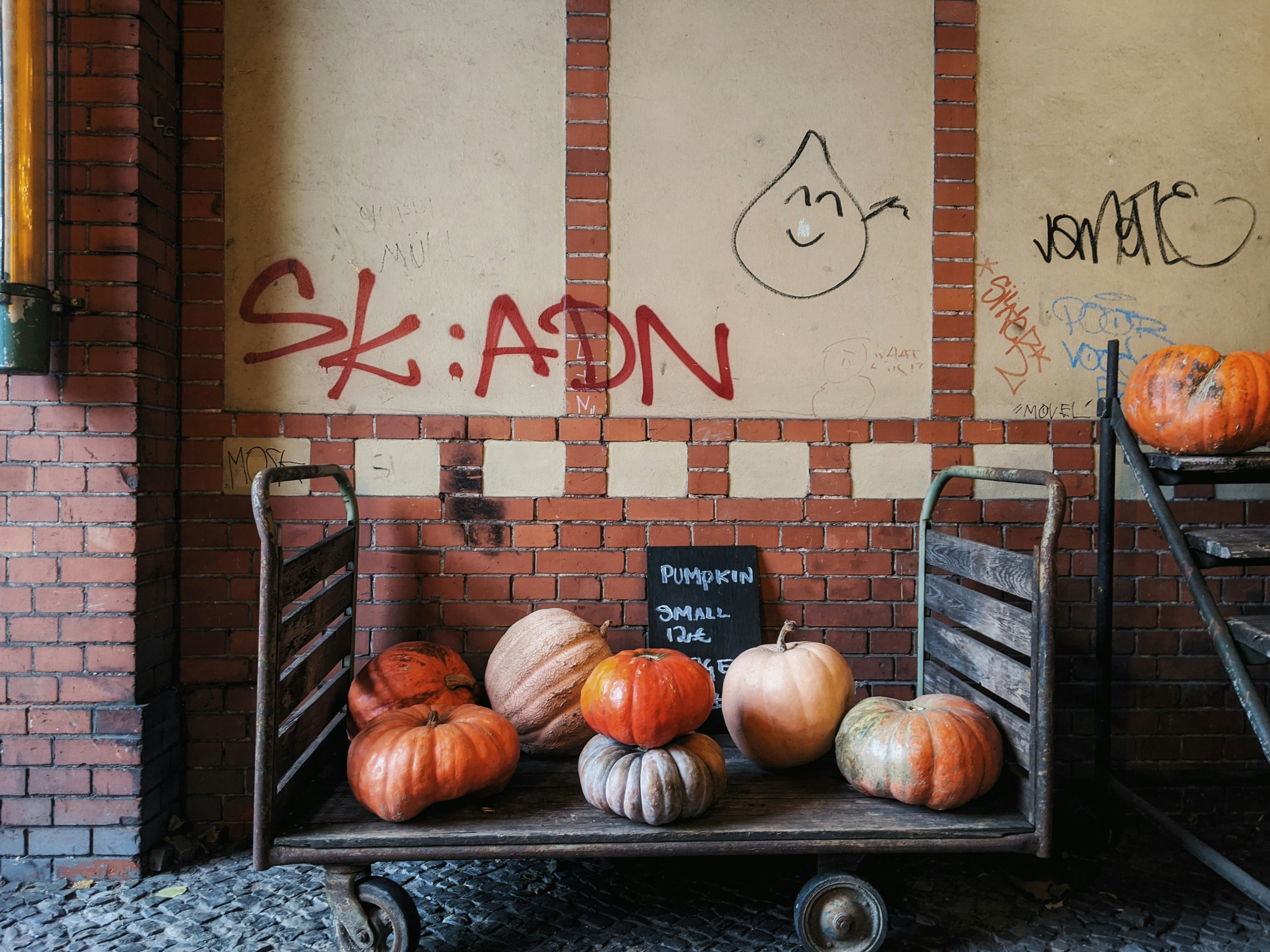 Colorful pumpkins arranged on a wooden cart against a textured brick wall adorned with graffiti. A small chalkboard sign indicates the selection.