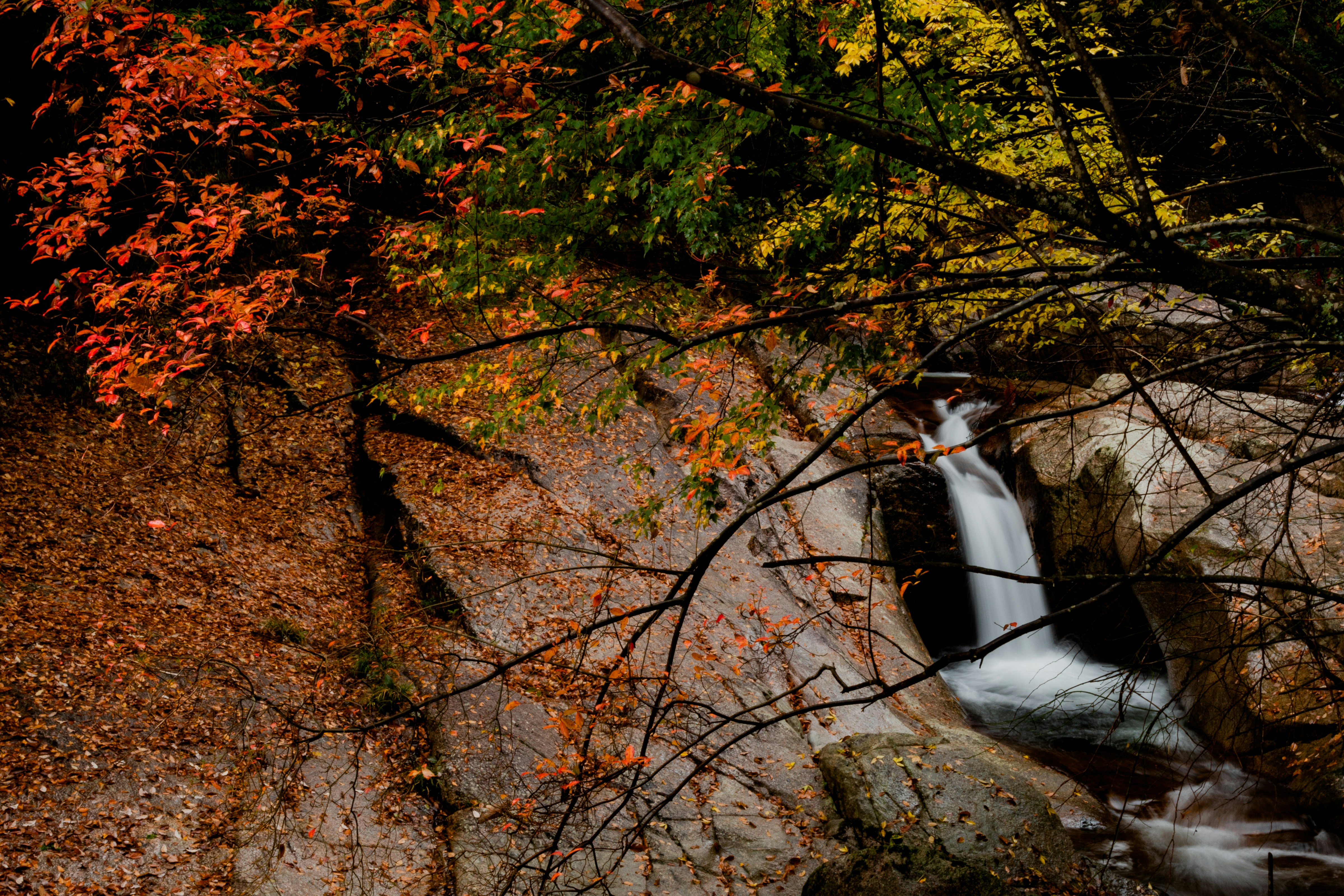 Autumn Falls Aanl Pictures | Download Free Images on Unsplash