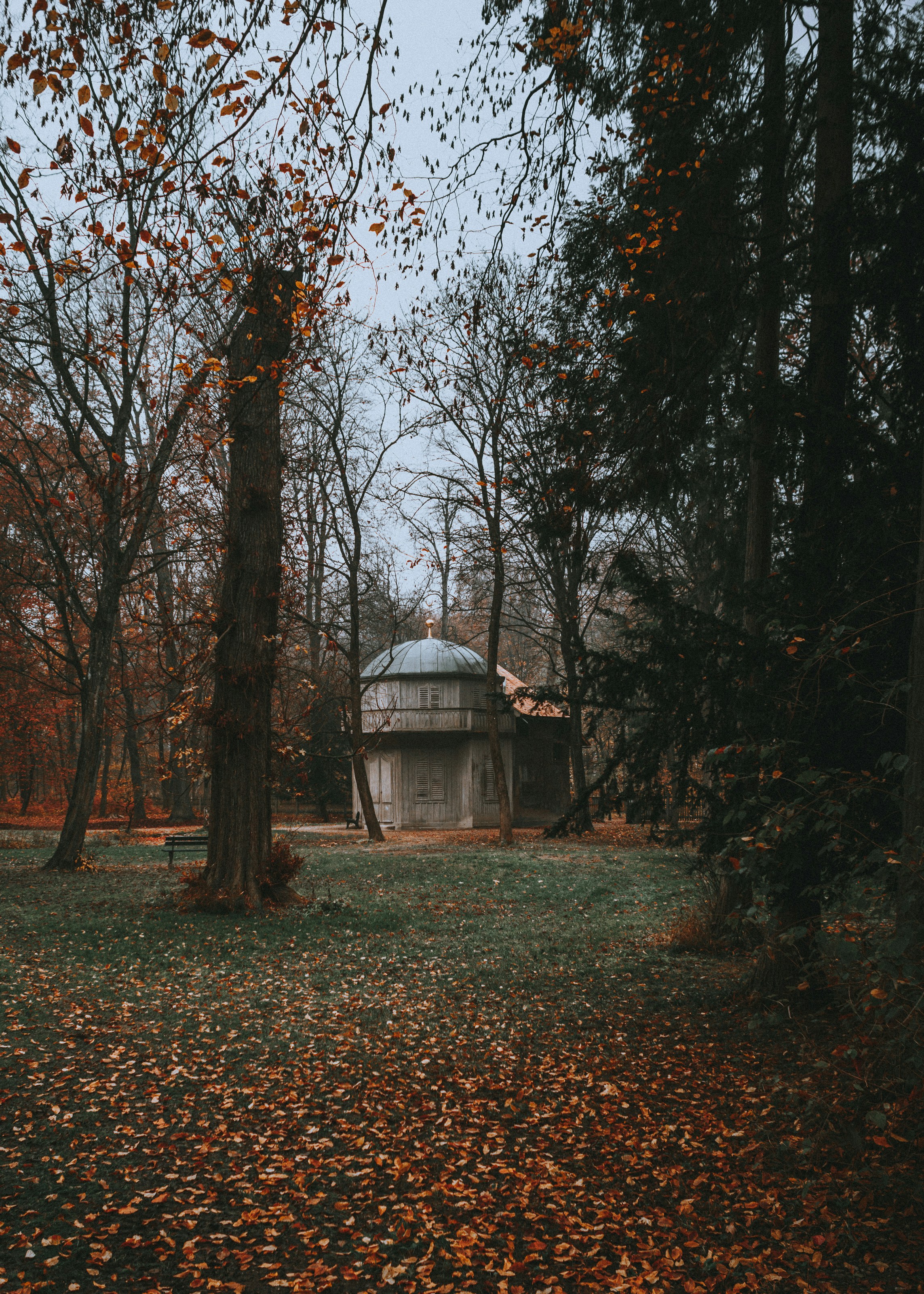A weathered pavilion nestled among autumn foliage, surrounded by bare trees and scattered leaves on the ground.