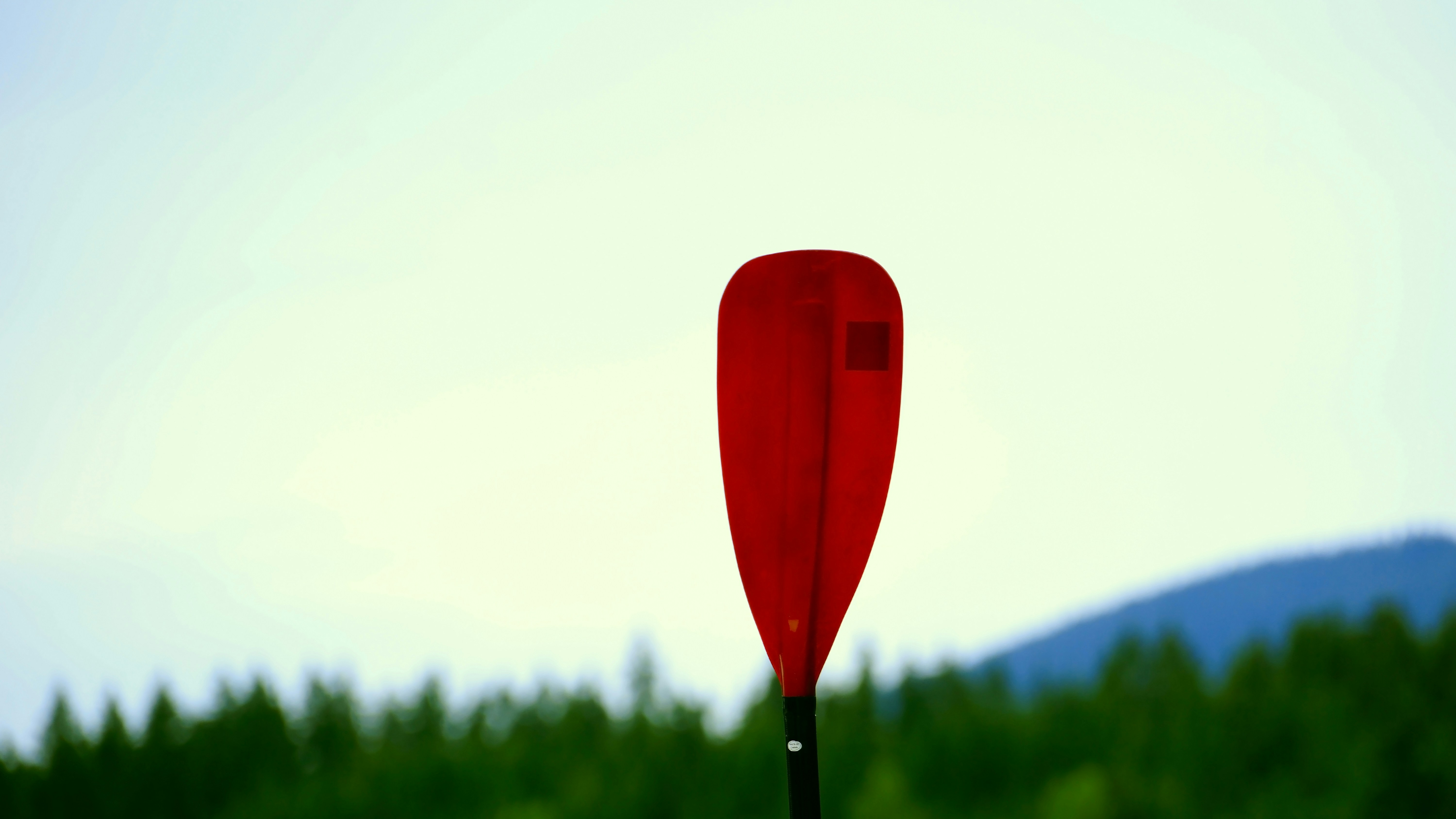 Red Kayak Blade Against Distant Ridge