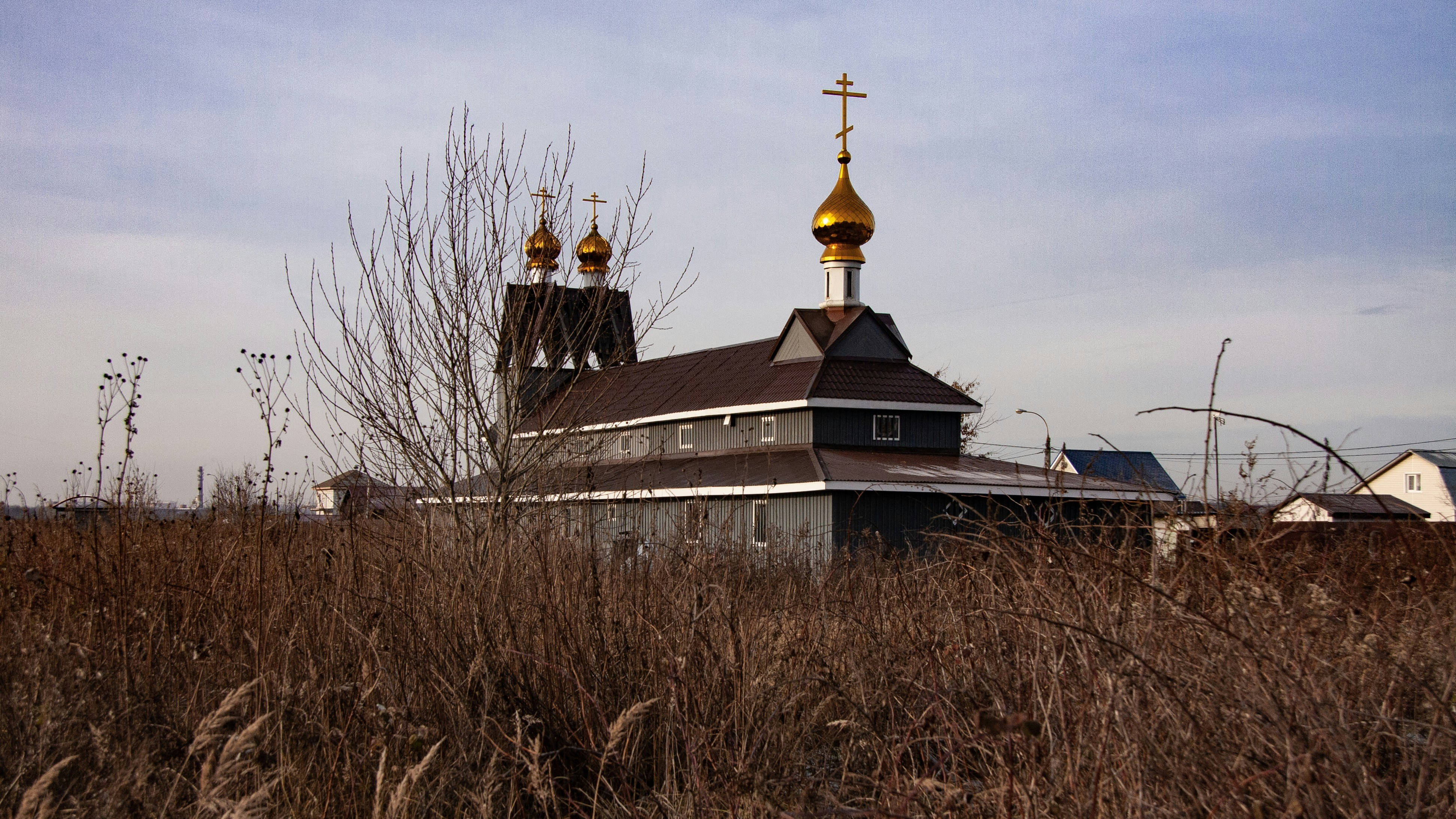 Golden Domes Above the Reeds: A Quiet Rural Orthodox Church