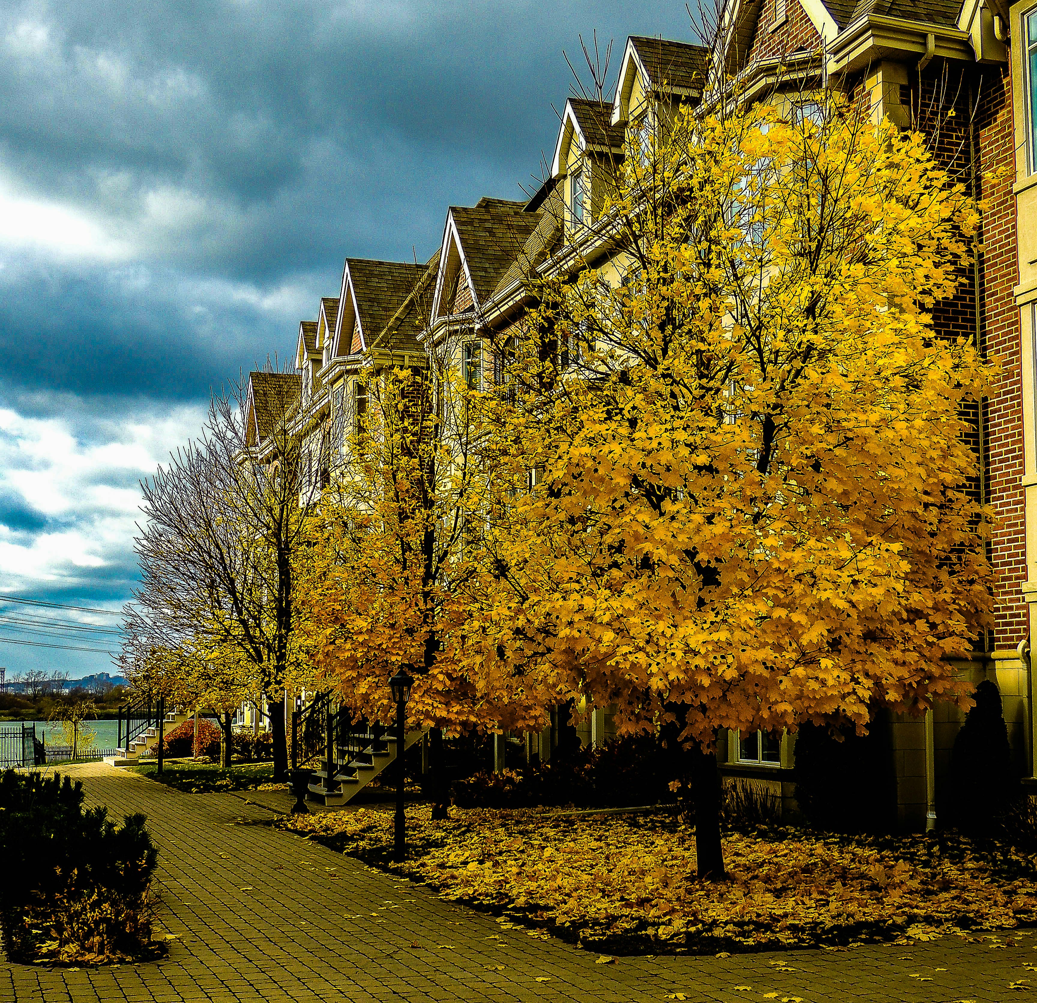 Golden Canopy Over a Georgian Row of Townhouses
