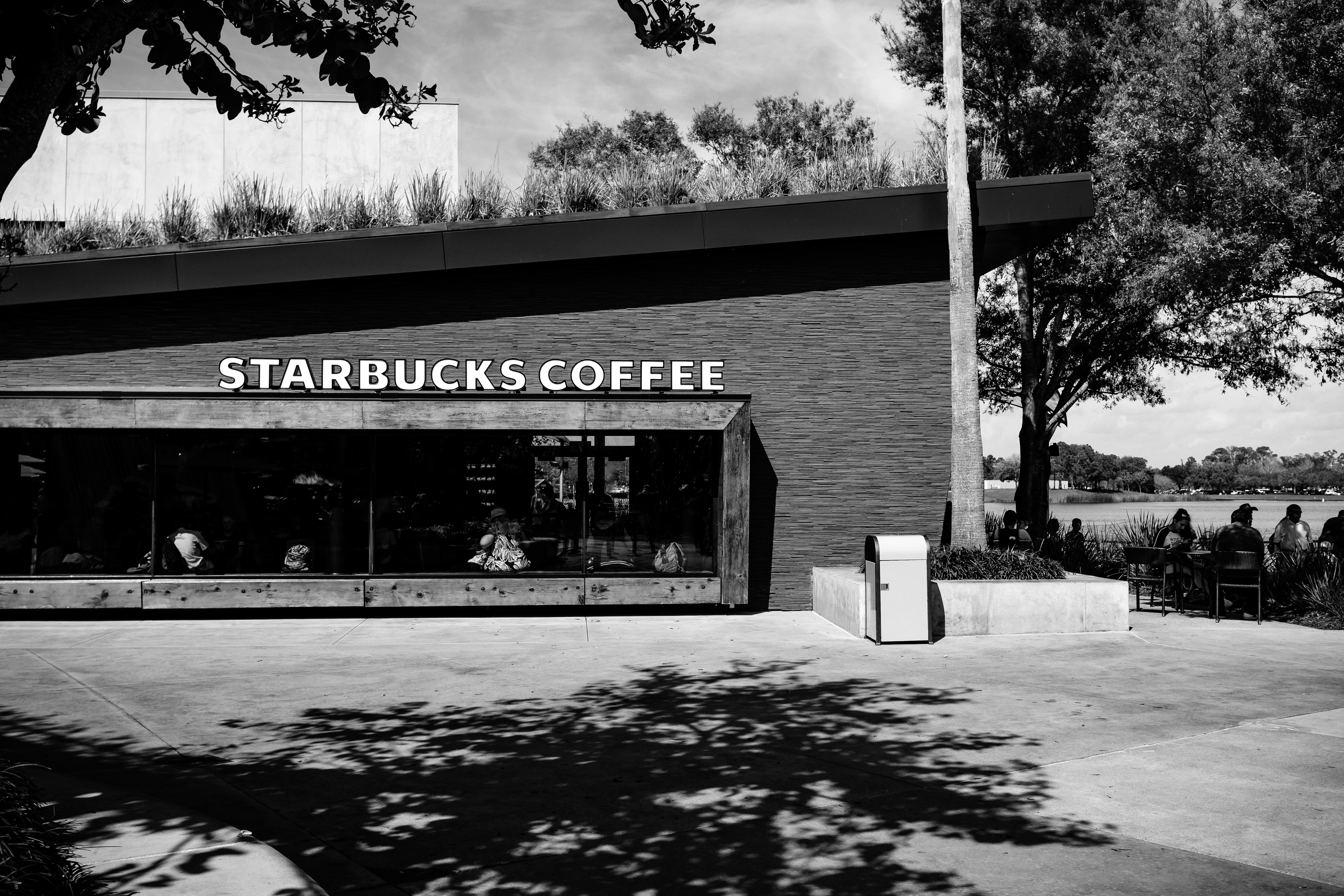 Grayscale photo of Starbucks Coffee store photo – Free Grey Image on ...