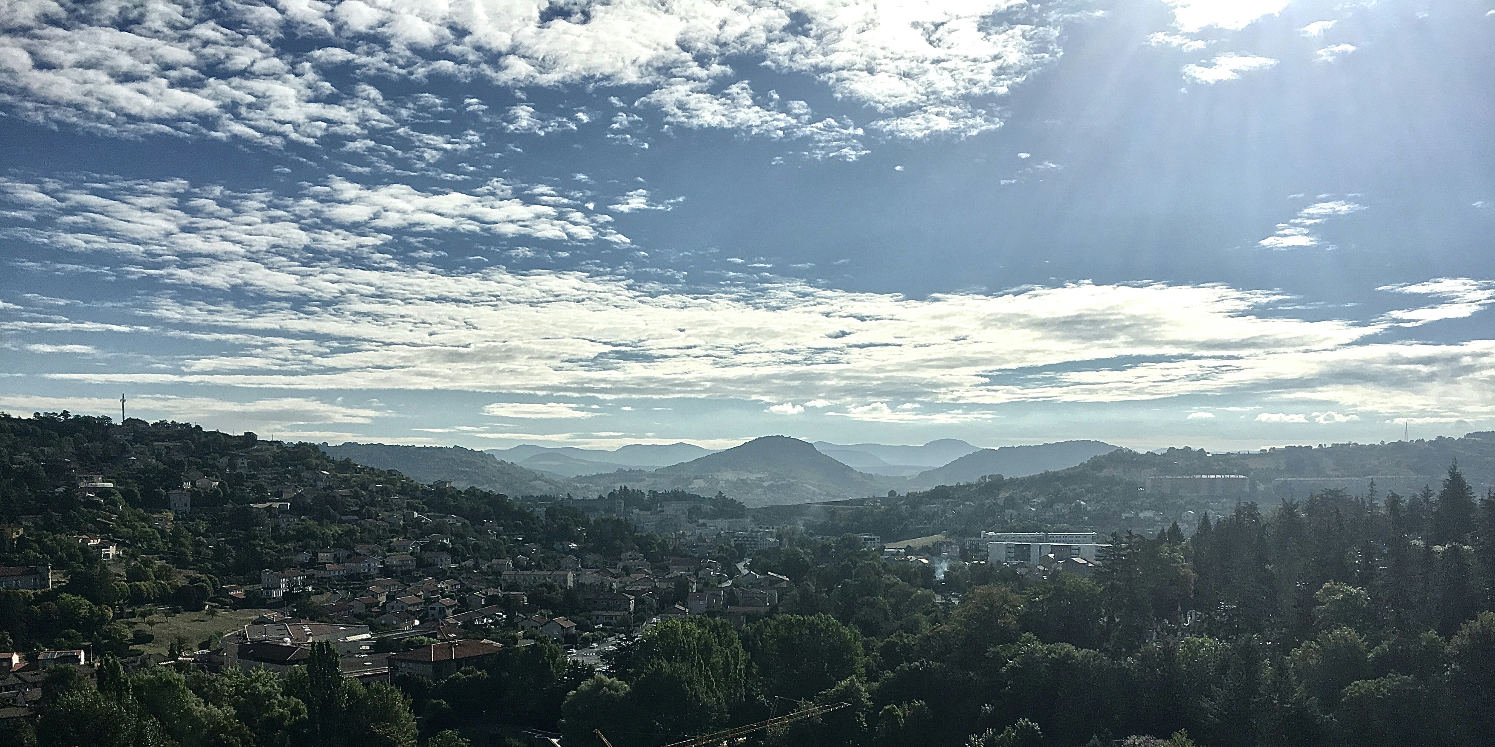 trees and houses under white clouds and blue sky