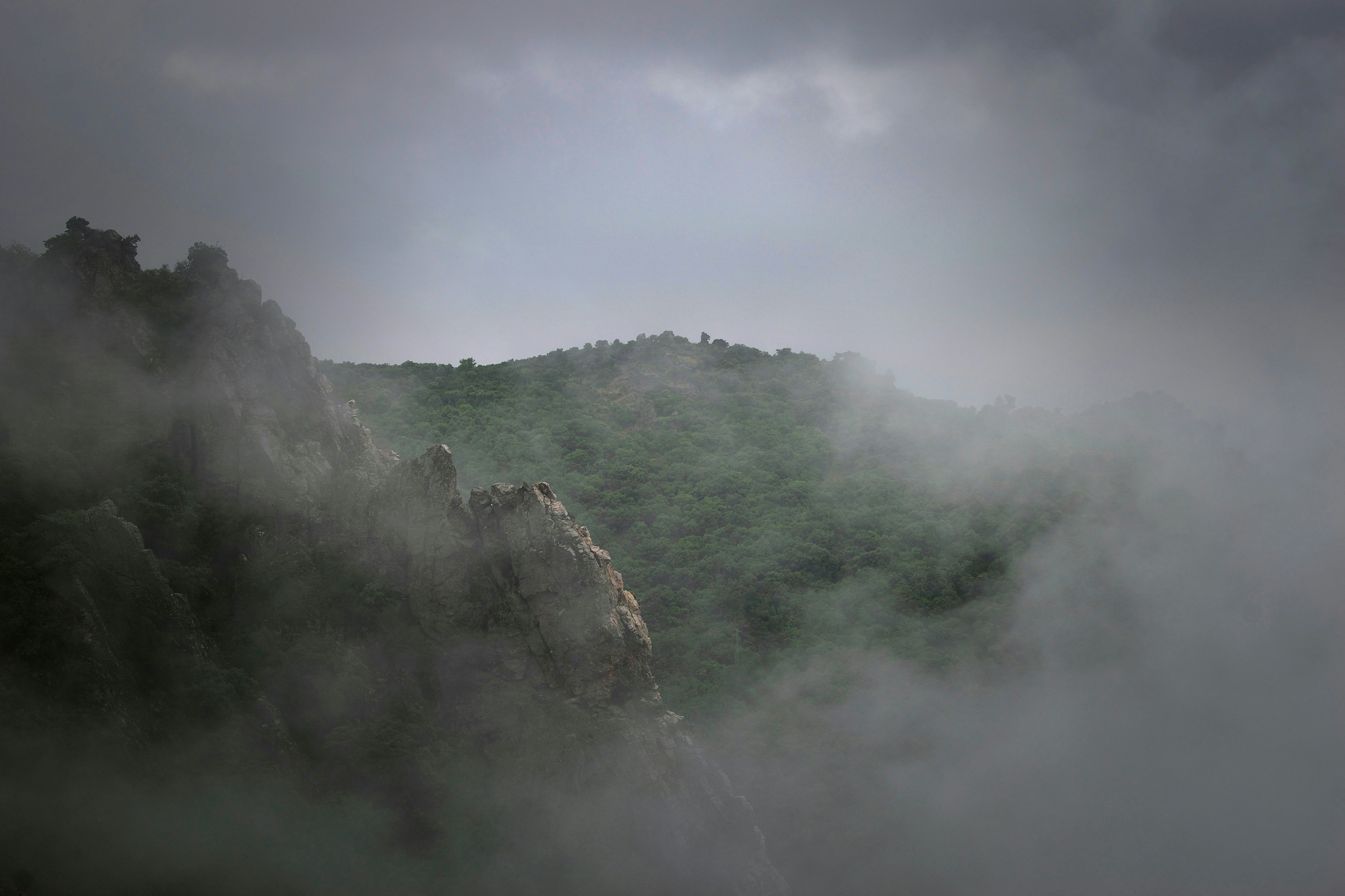 Ridge of the Mist: A Rock Sentinel Emerges from the Fog