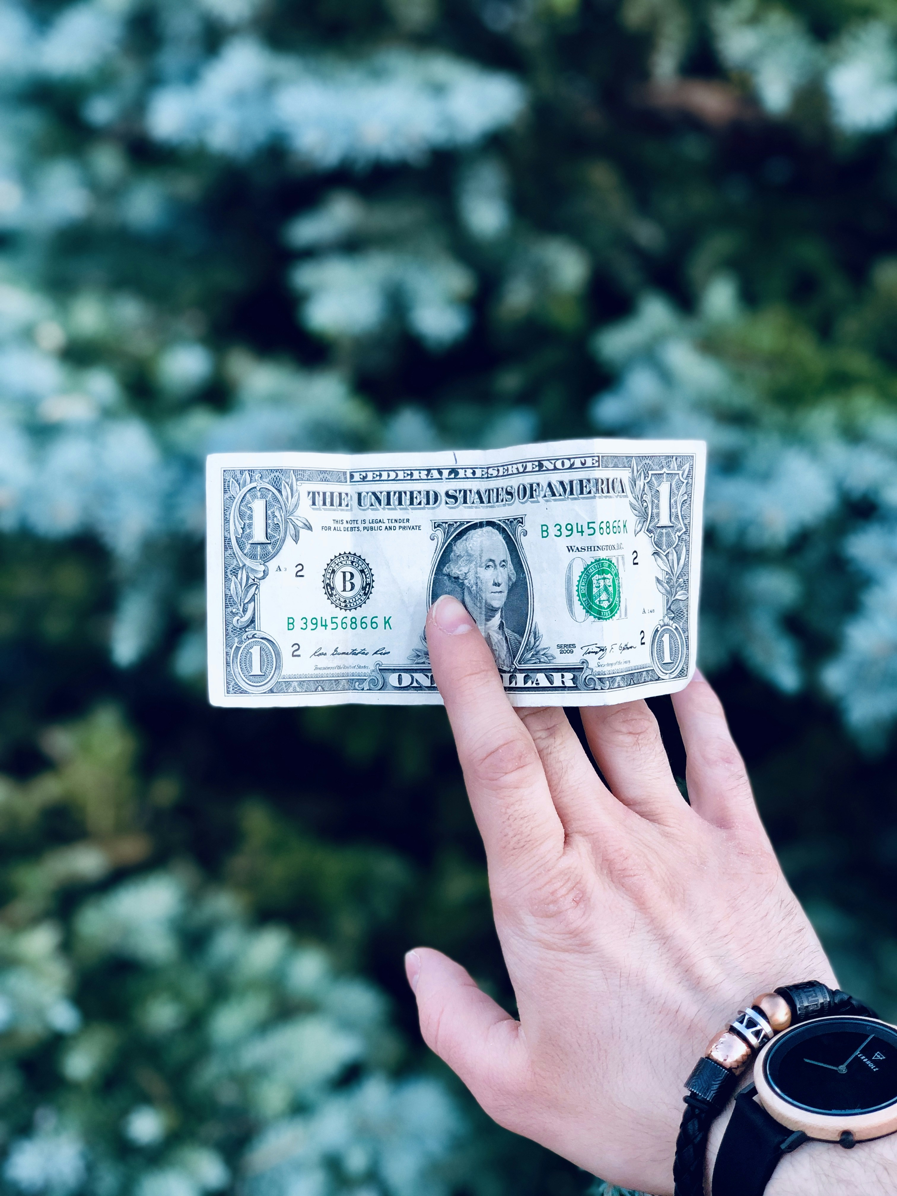 A hand holding a one-dollar bill against a backdrop of lush green foliage, highlighting the contrast between currency and nature.