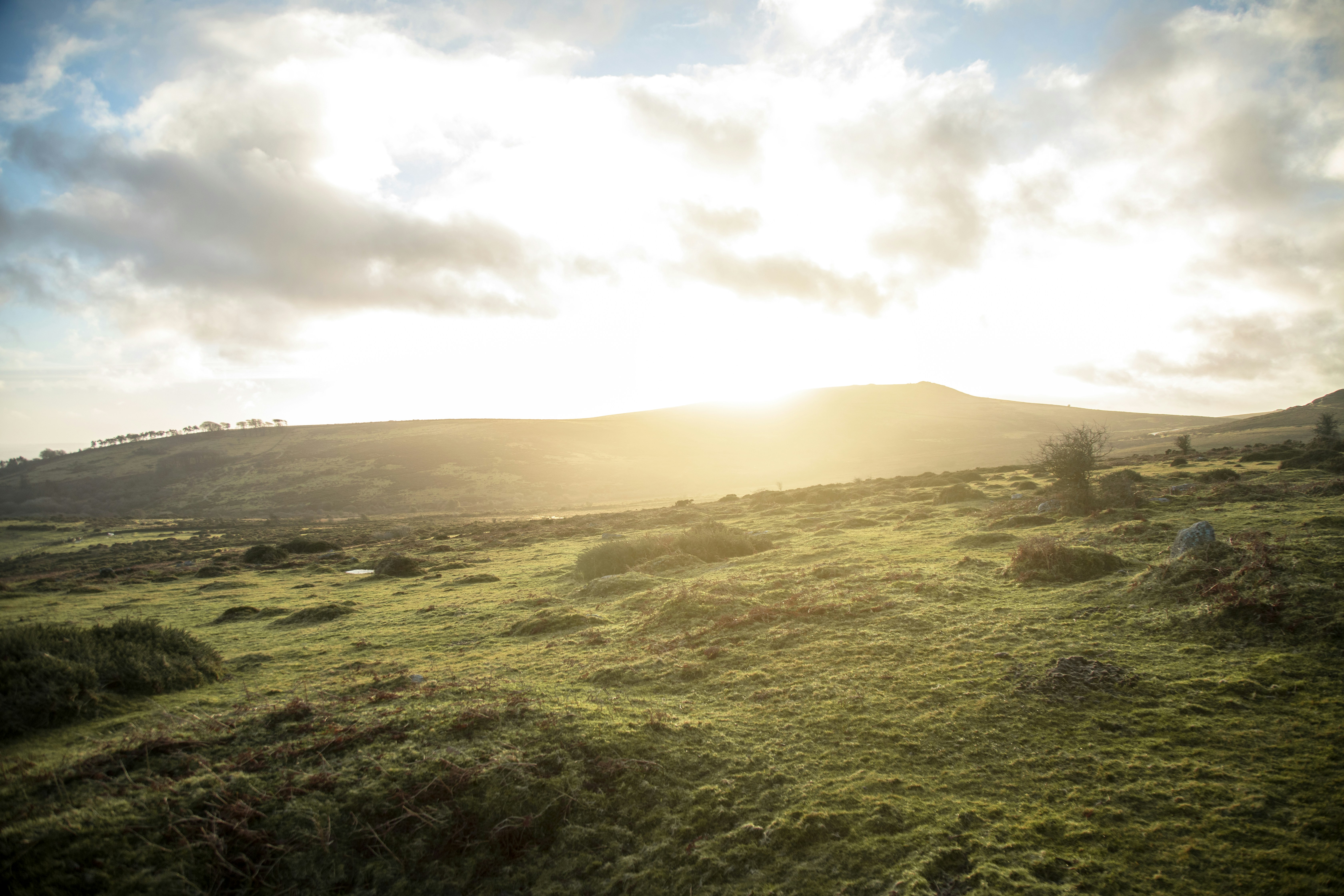 Moorland Pictures | Download Free Images on Unsplash