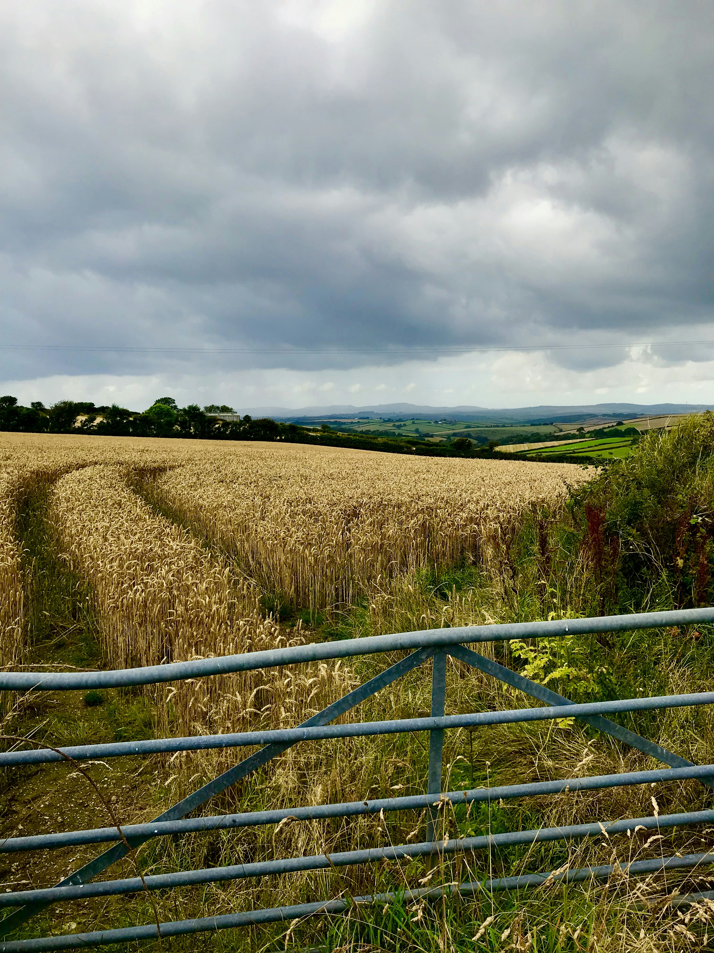 brown field under cloudy sky