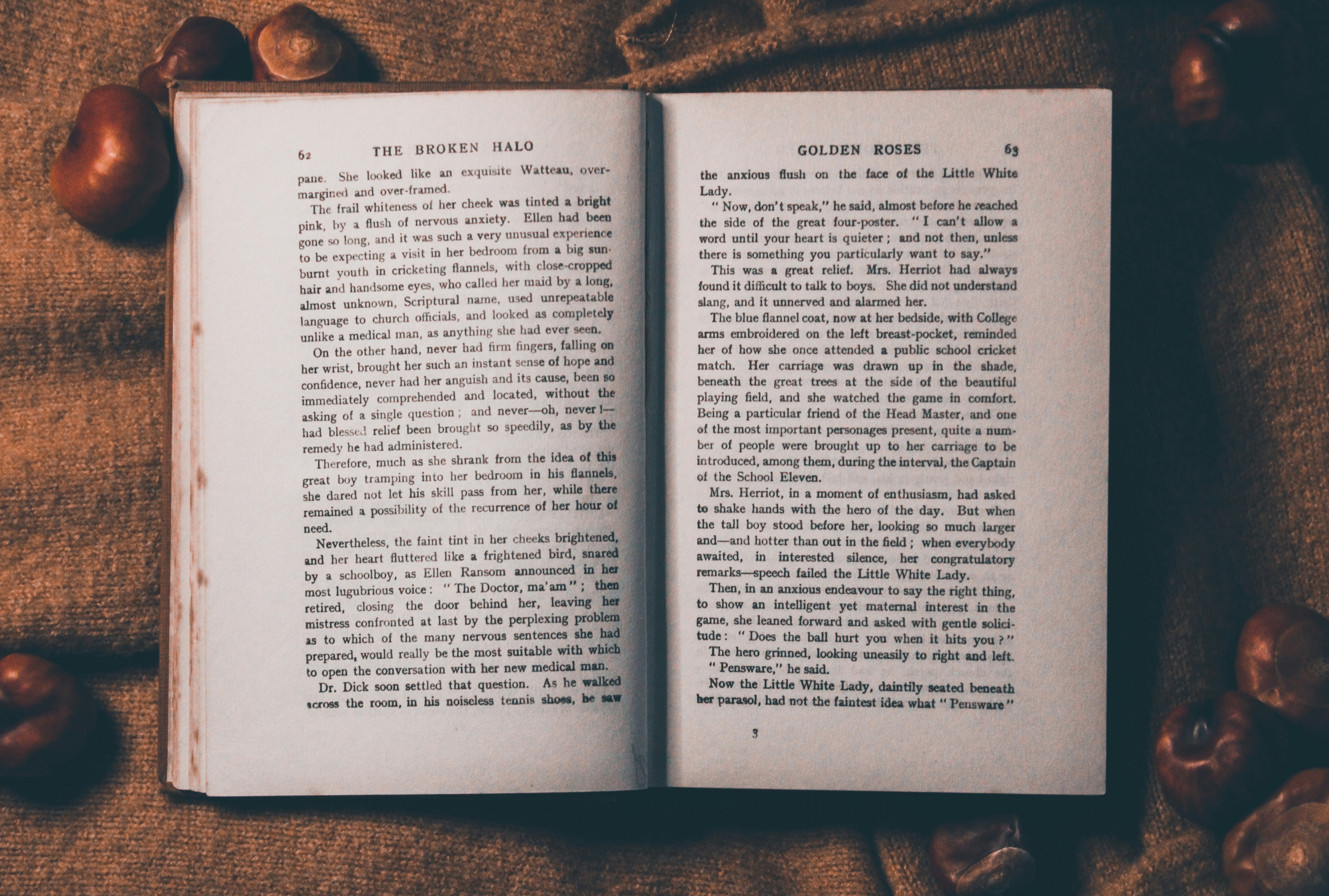 Open vintage book displaying two pages of text, surrounded by a warm, textured fabric and chestnuts.