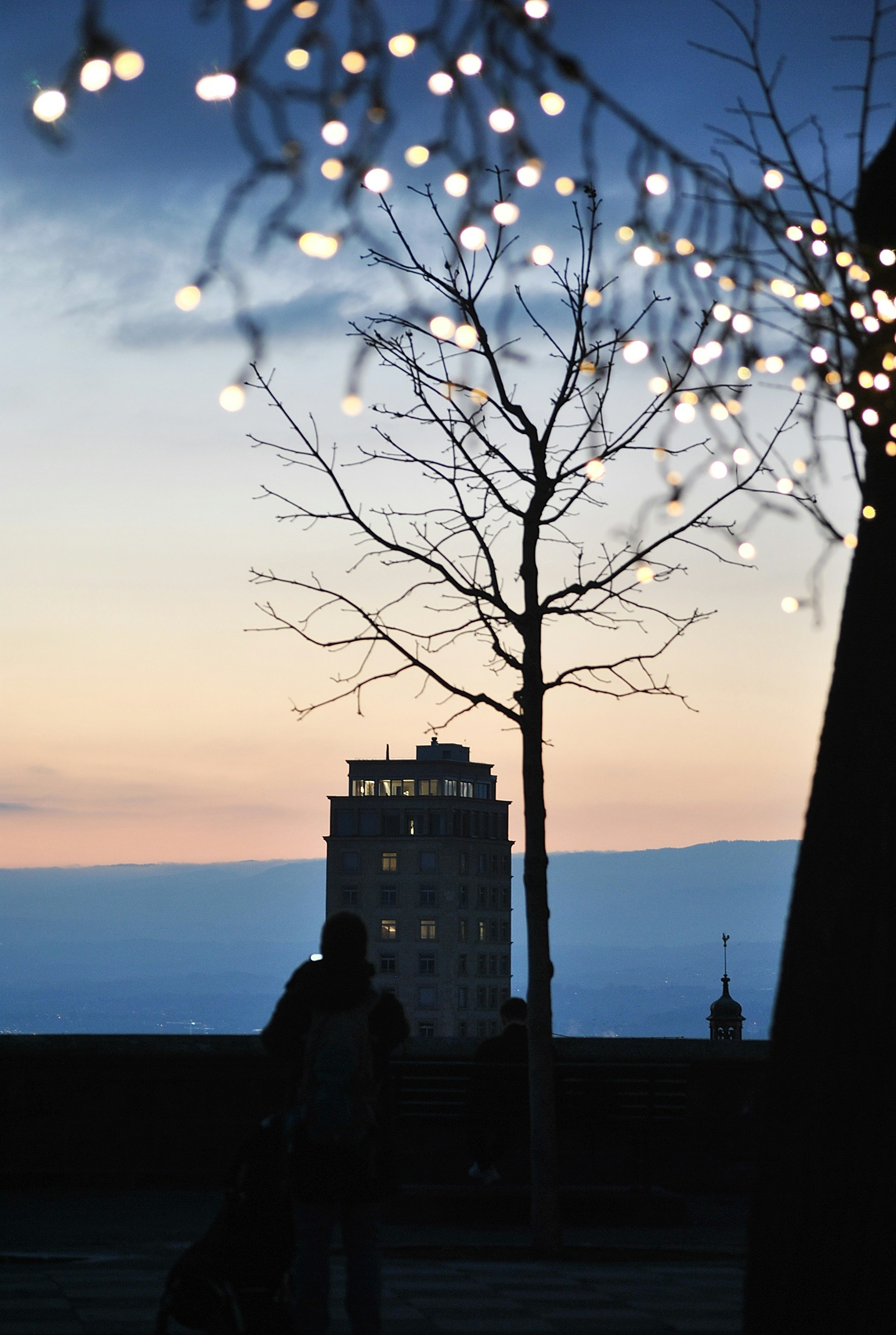 Twilight at the Lantern Tree Terrace