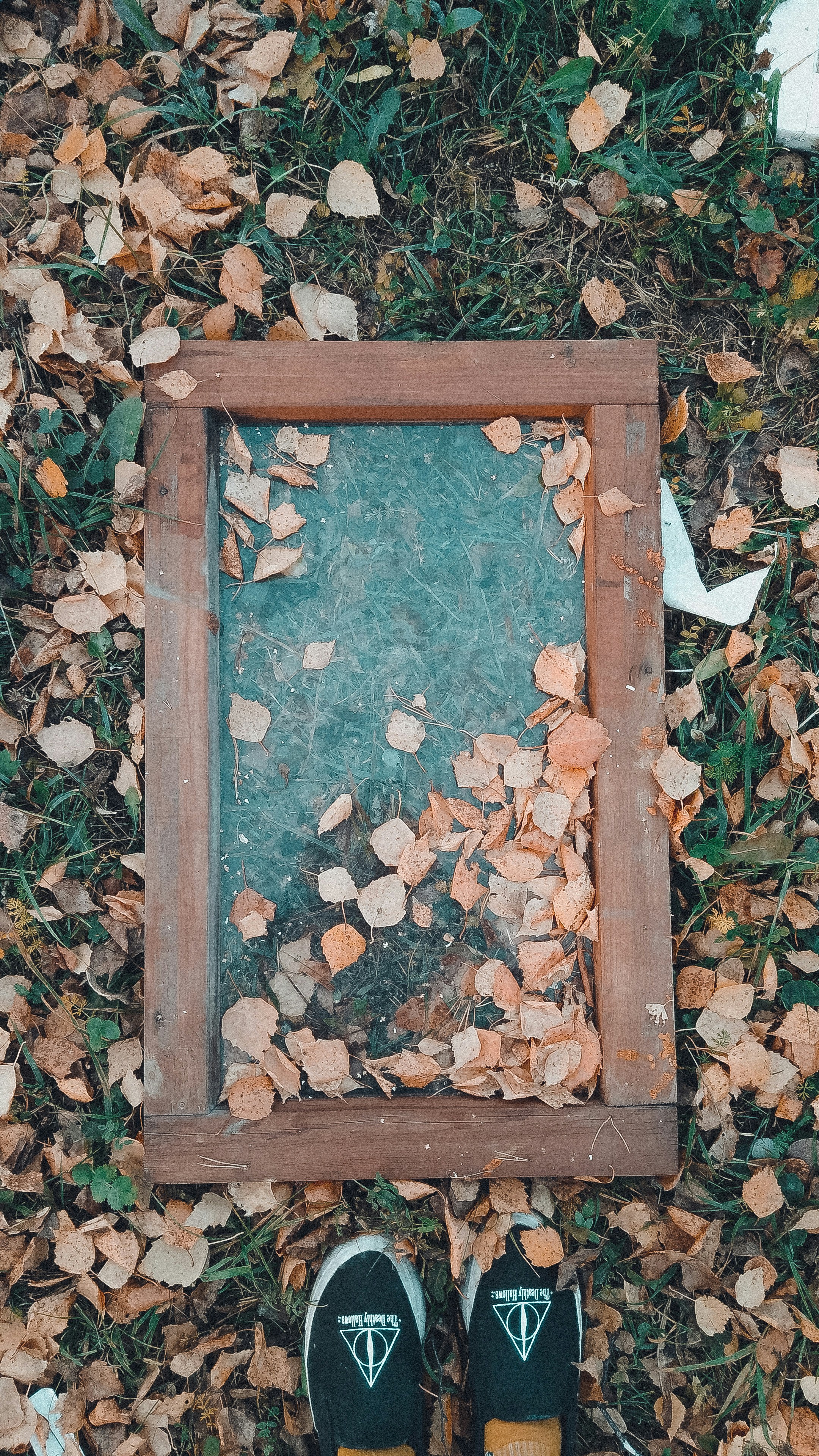 A wooden frame rests on the ground, partially covered with orange and yellow leaves, reflecting the surrounding nature. The scene captures the essence of autumn's transition.
