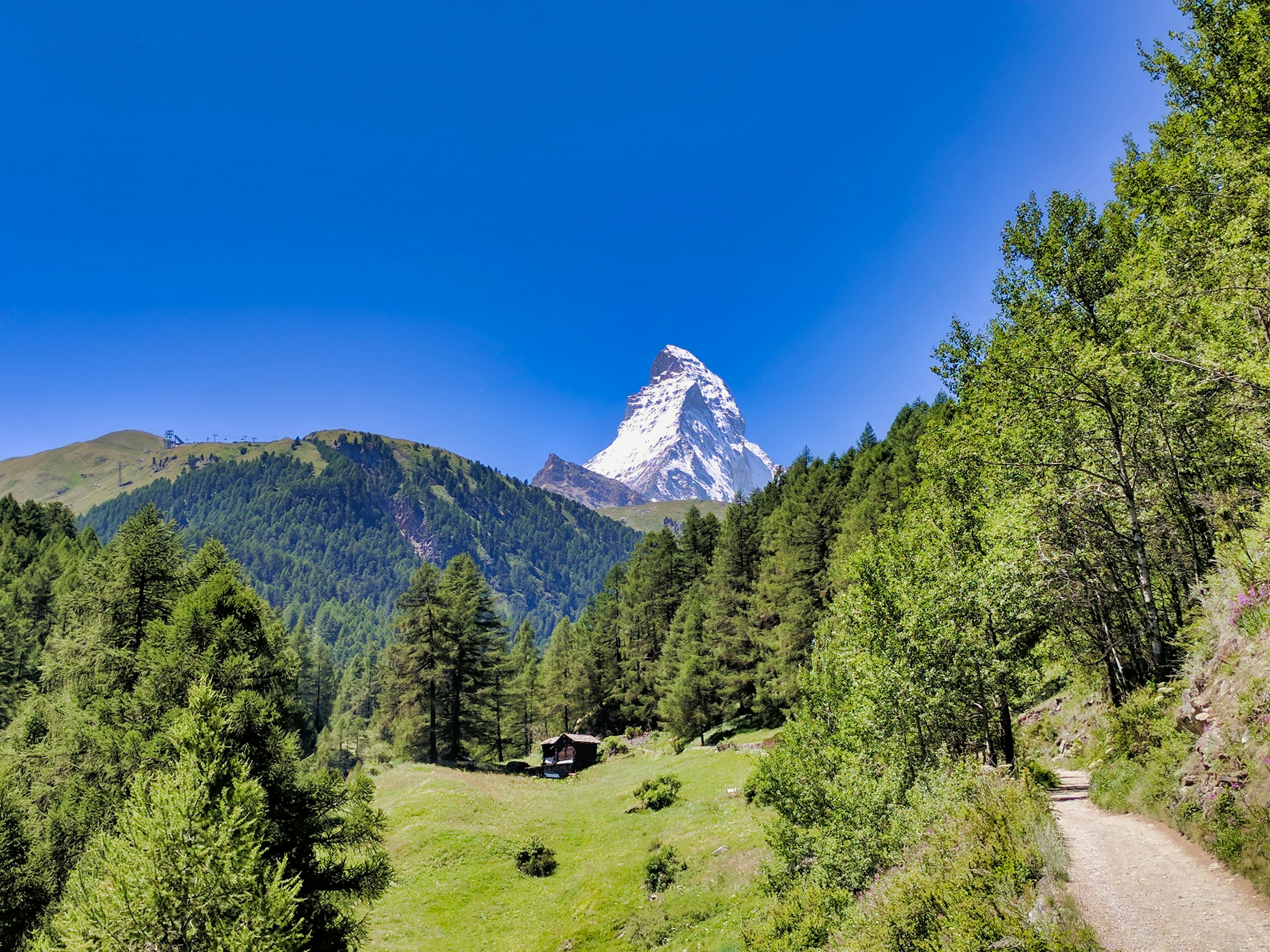 Snow-capped peak rises above a forested valley with a dirt trail winding along the right, and a small cabin nestled in the meadow.