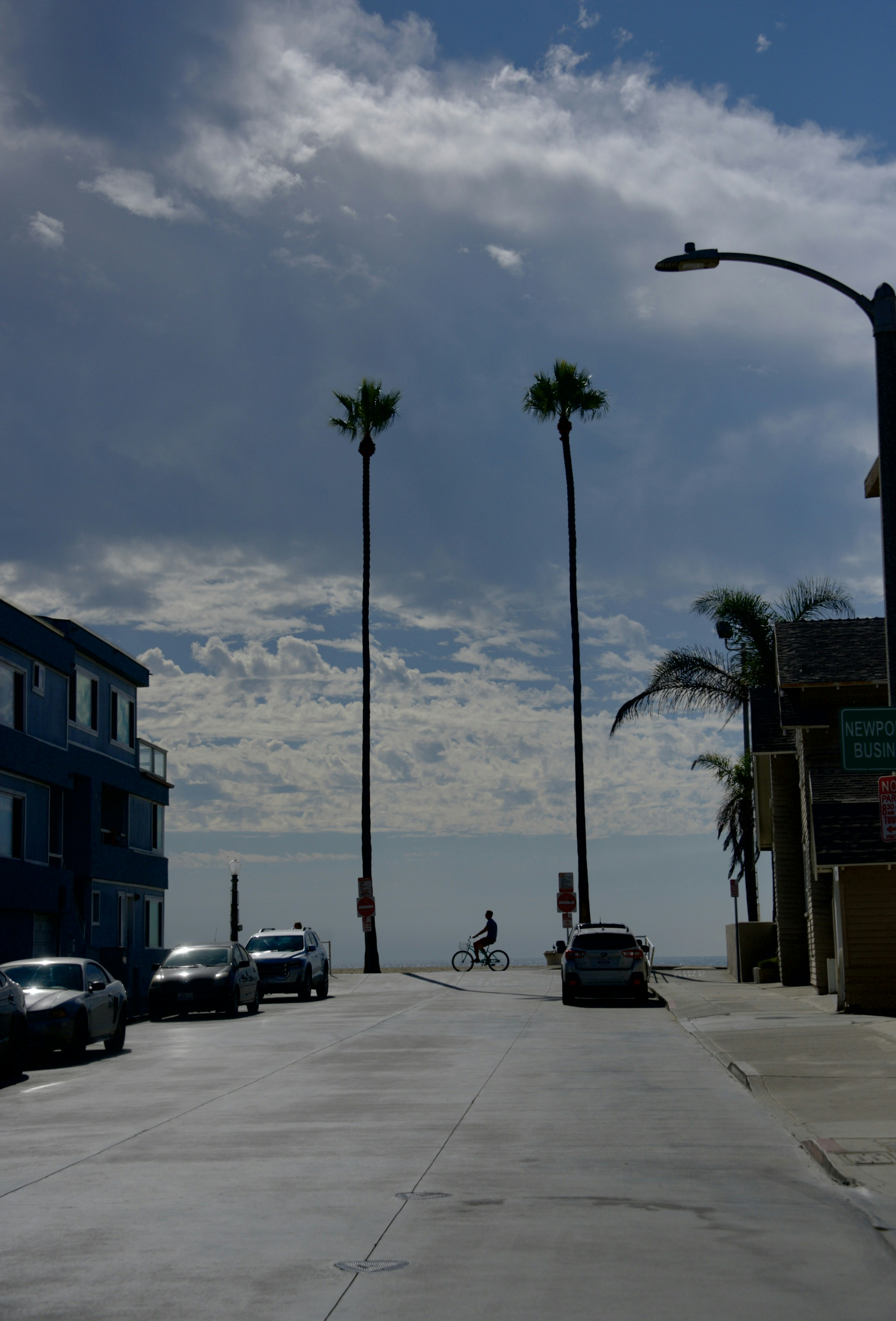 Bicyclist navigating a quiet street lined with palm trees, leading to a tranquil ocean view under a cloudy sky.