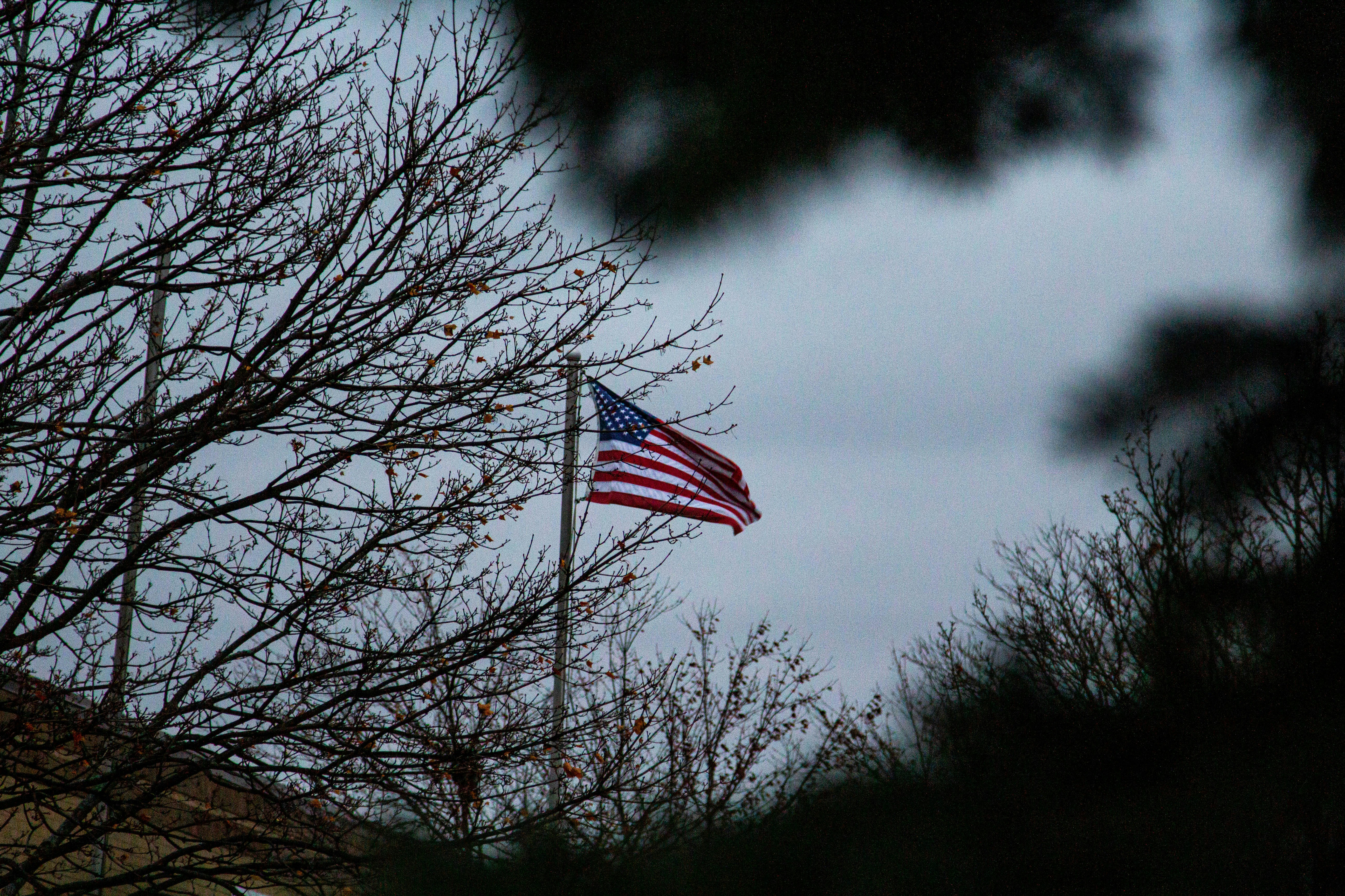 American flag fluttering against a gray sky, framed by bare branches in a somber setting.