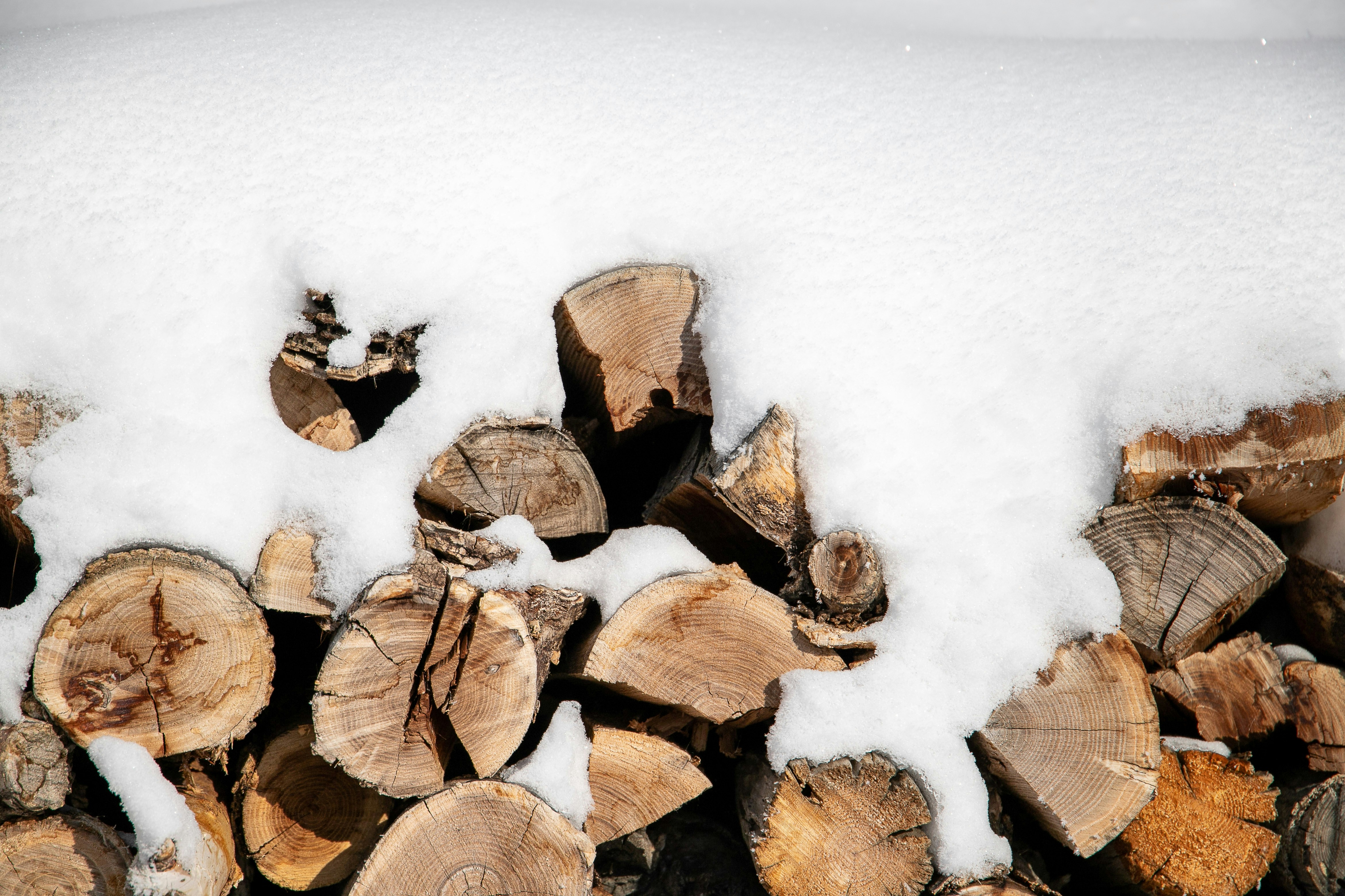 Snow-Capped Logs: A Quiet Stack of Firewood Resting Under Winter Light