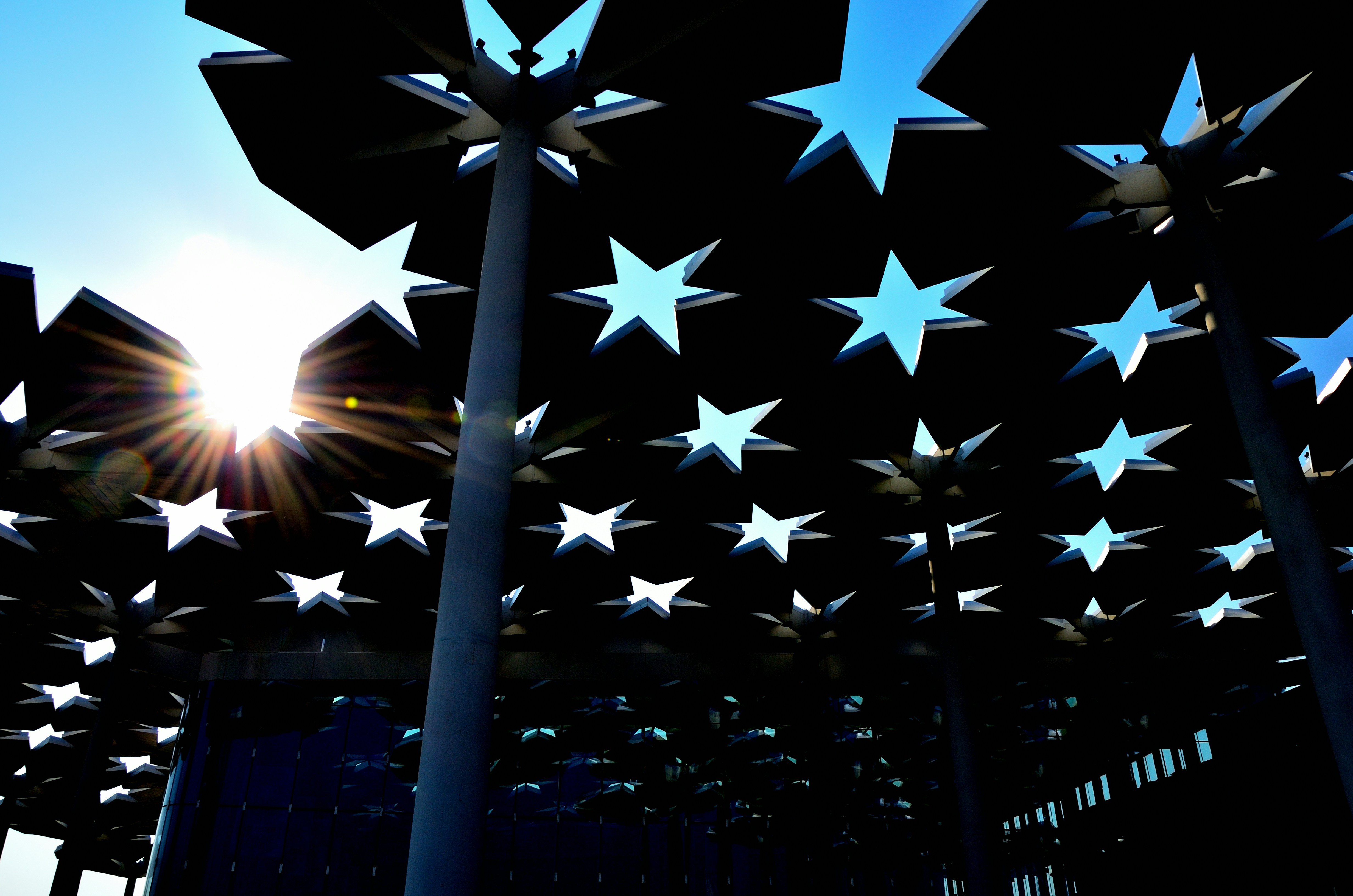 A Skyward Field of Stars: Star-shaped Canopy Overhead