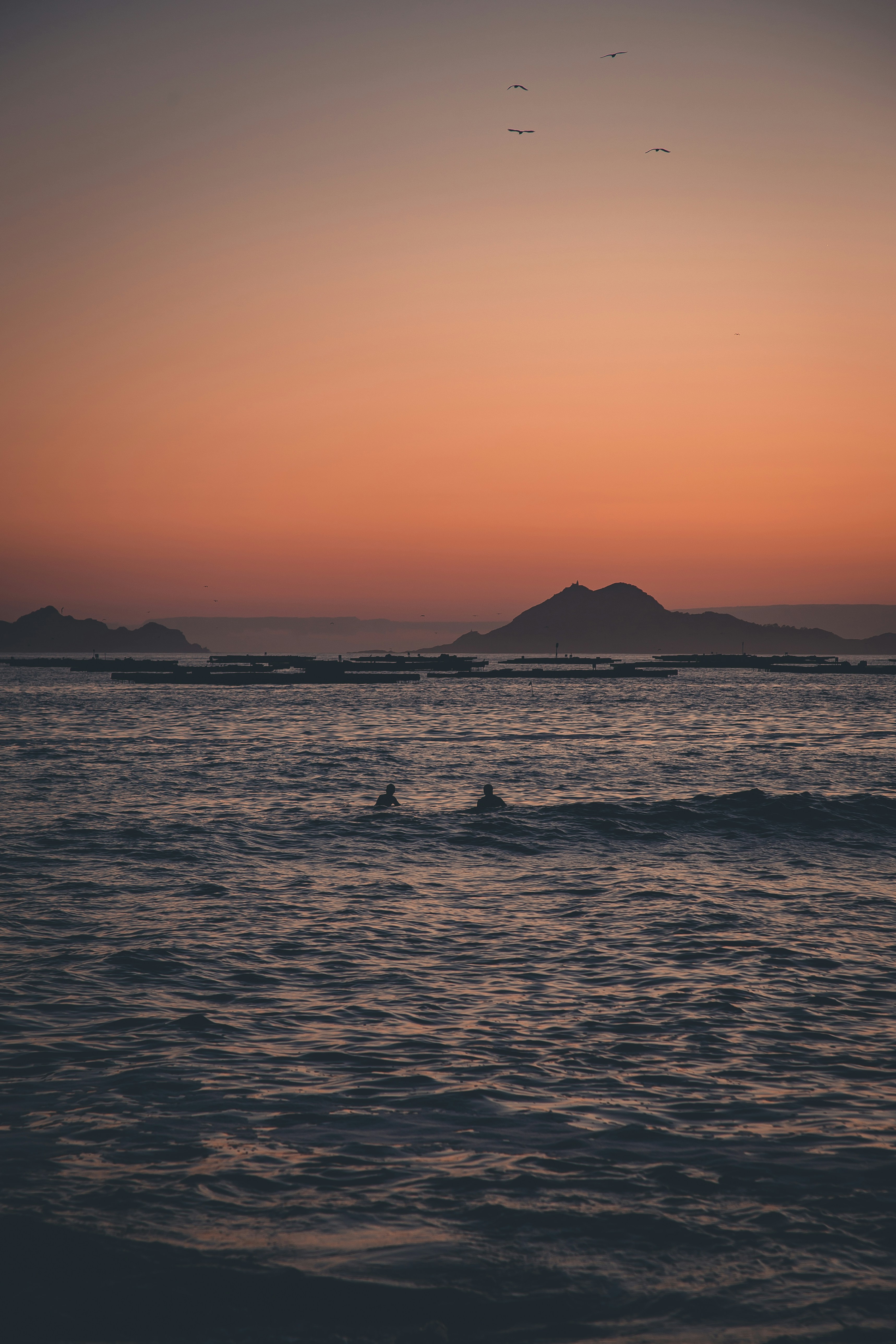 silhouette photography of men surfing in the sea