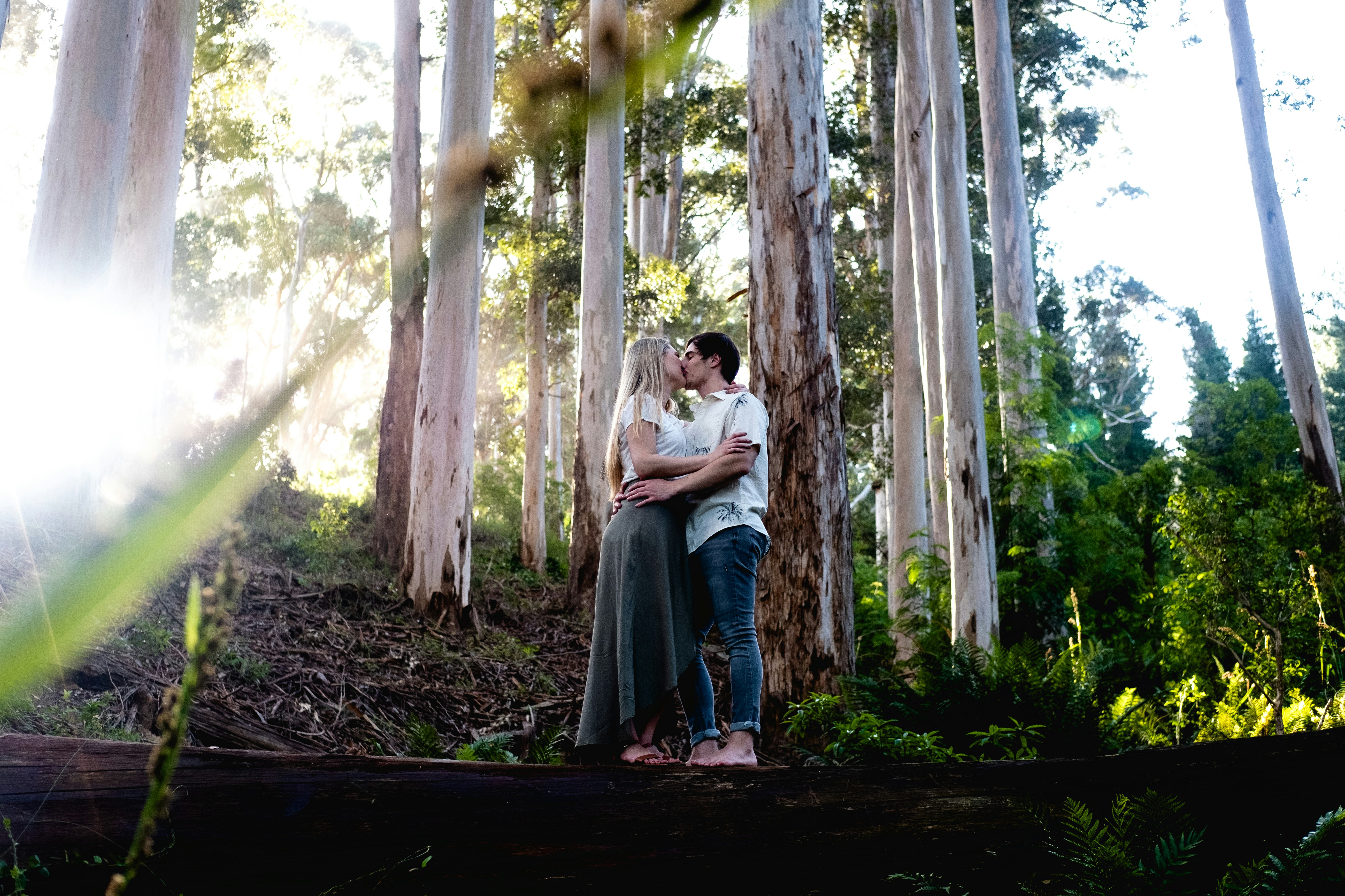 Couple sharing an intimate moment in a lush forest, surrounded by towering eucalyptus trees. Sunlight filters through the foliage, adding warmth to the scene.