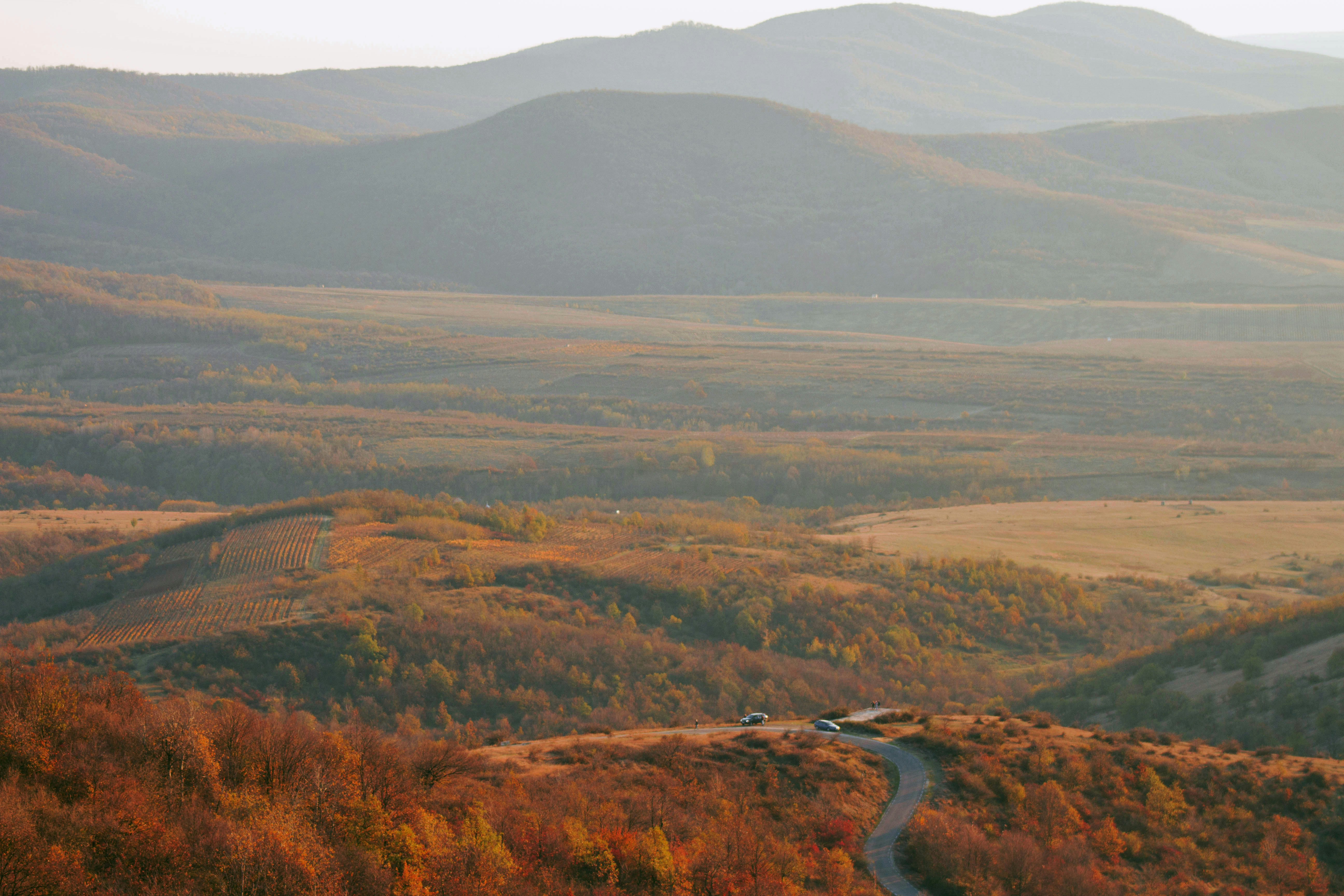 Expansive view of sunlit Appalachian hills with a winding road leading into the distance.