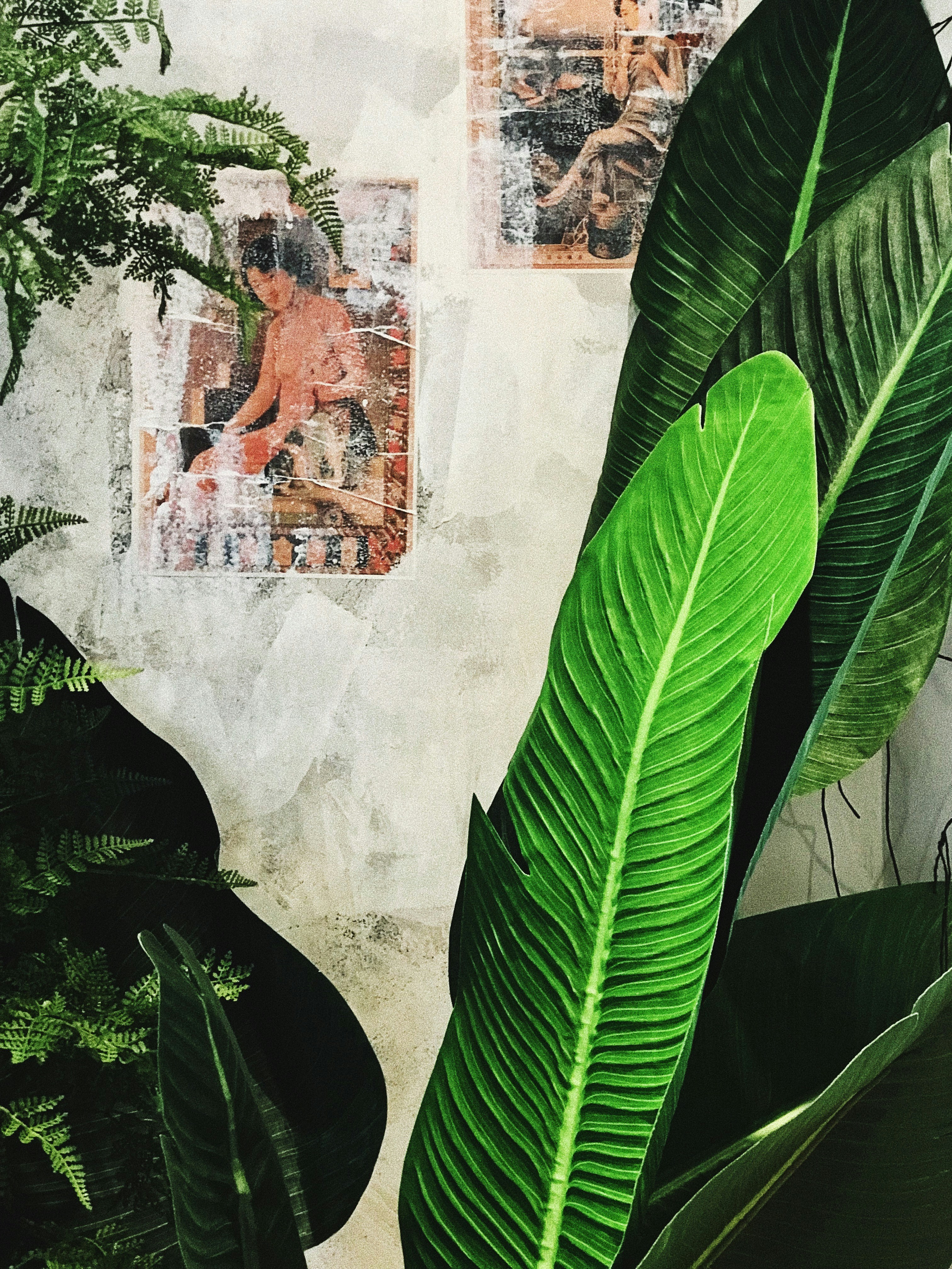 Nature's Embrace: A Fusion of Art and Greenery