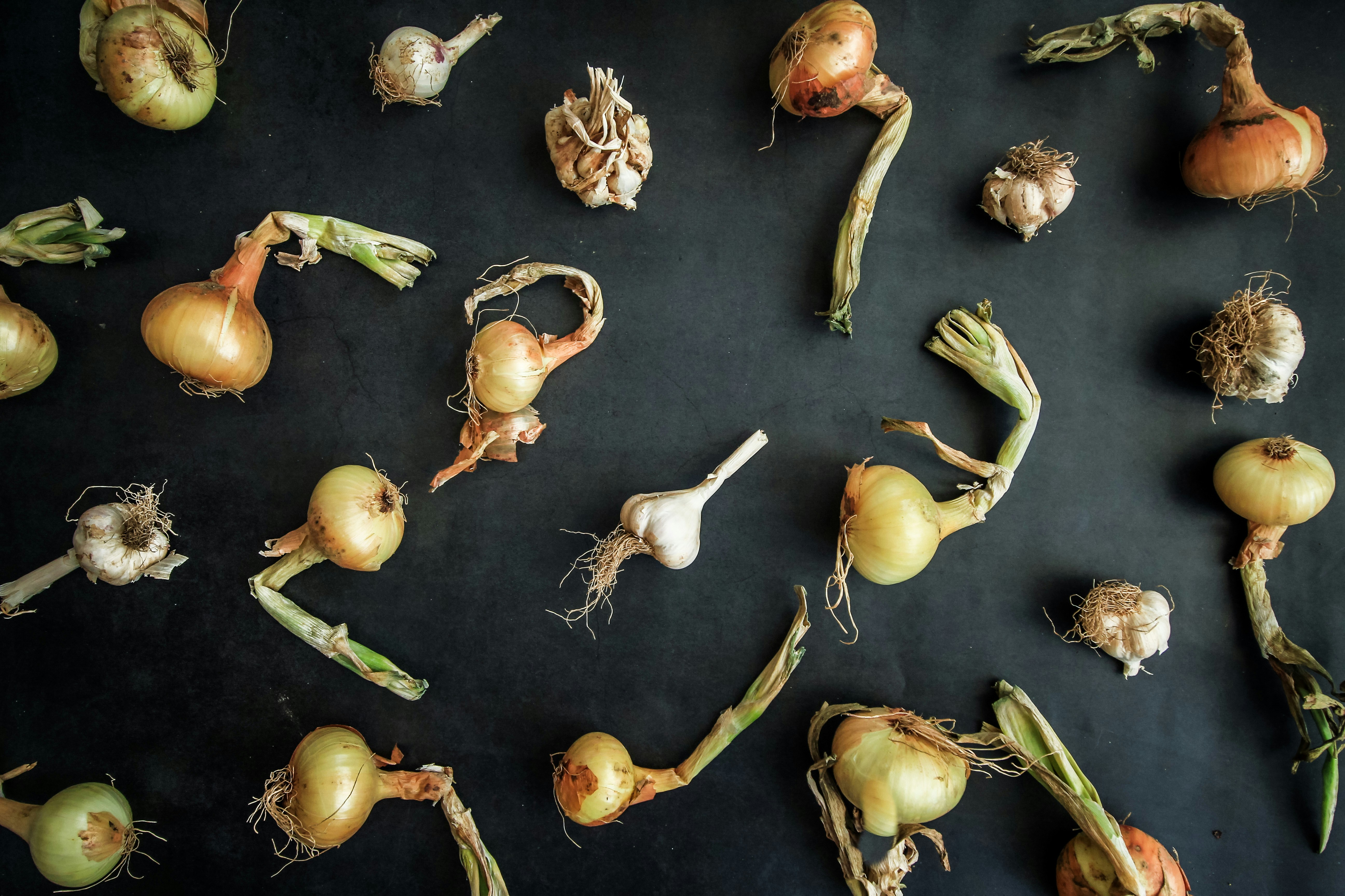 Onion decor photo – Free Food Image on Unsplash