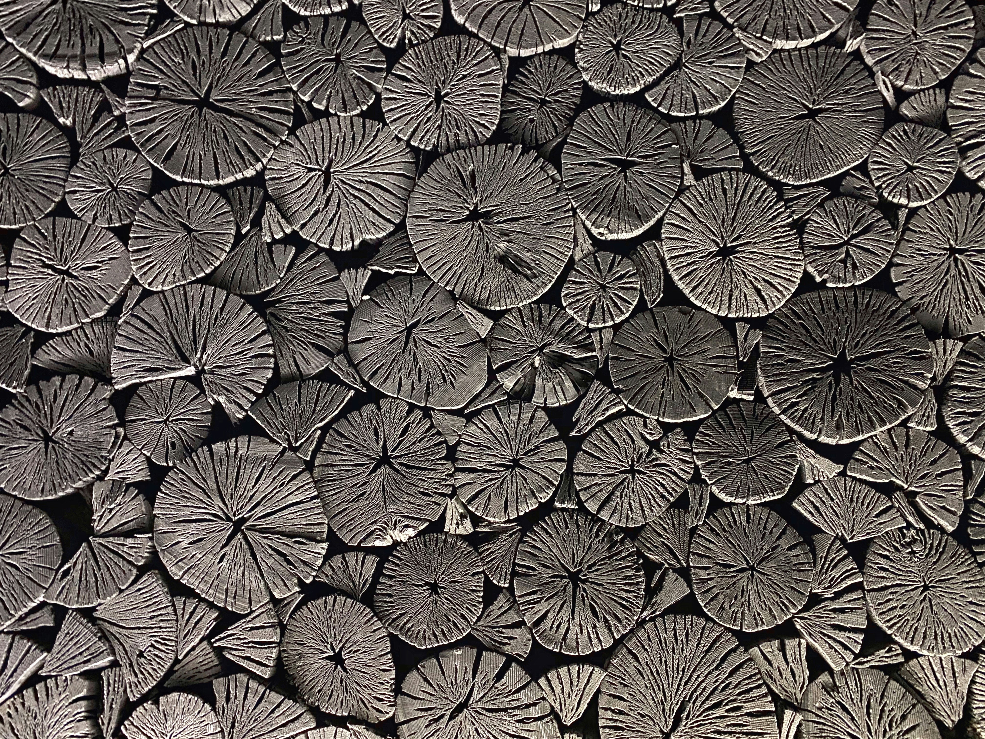 Nature's Geometric Tapestry