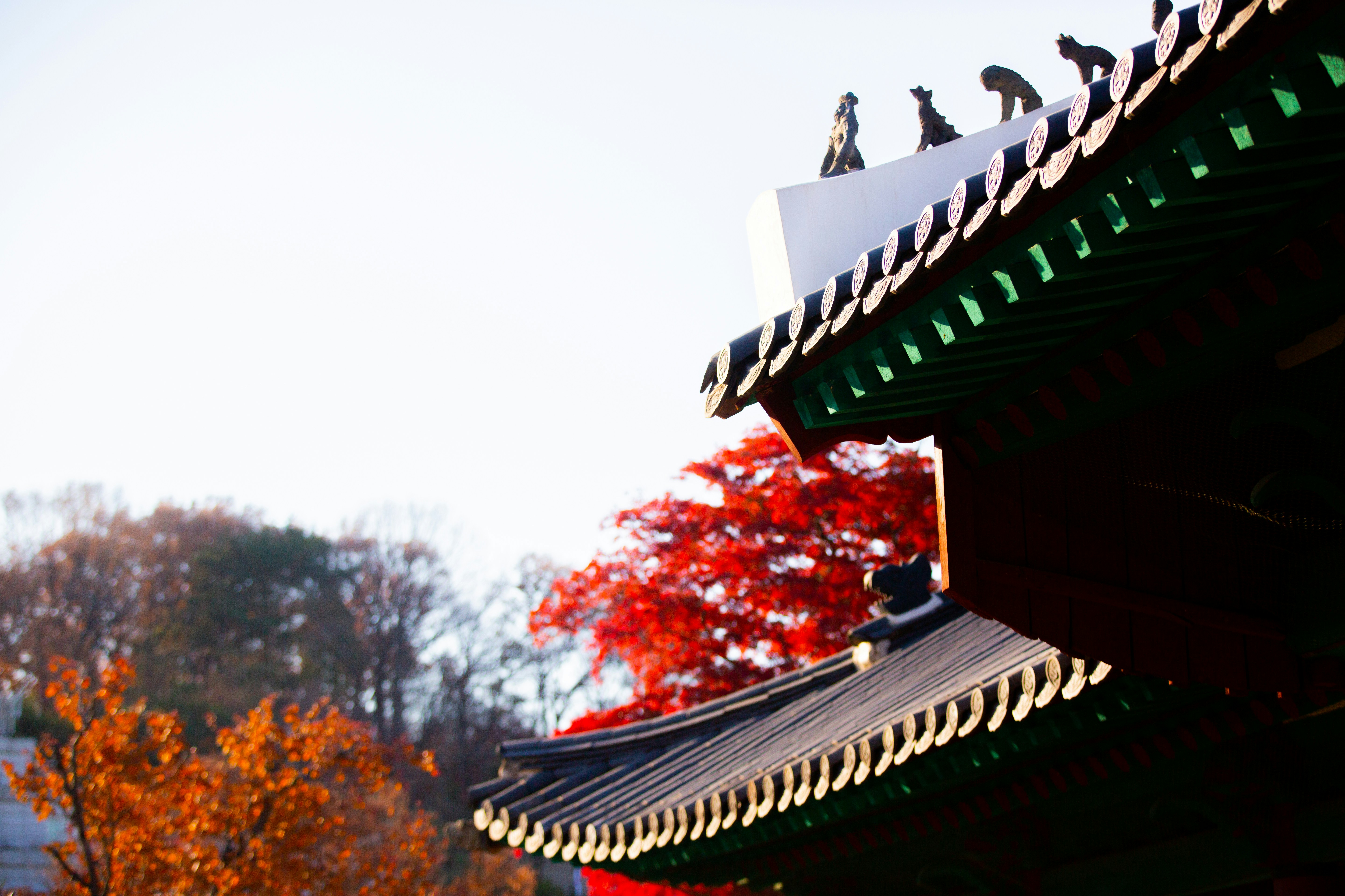Rooftop Guardians: Autumn Dusk Over a Traditional Gable