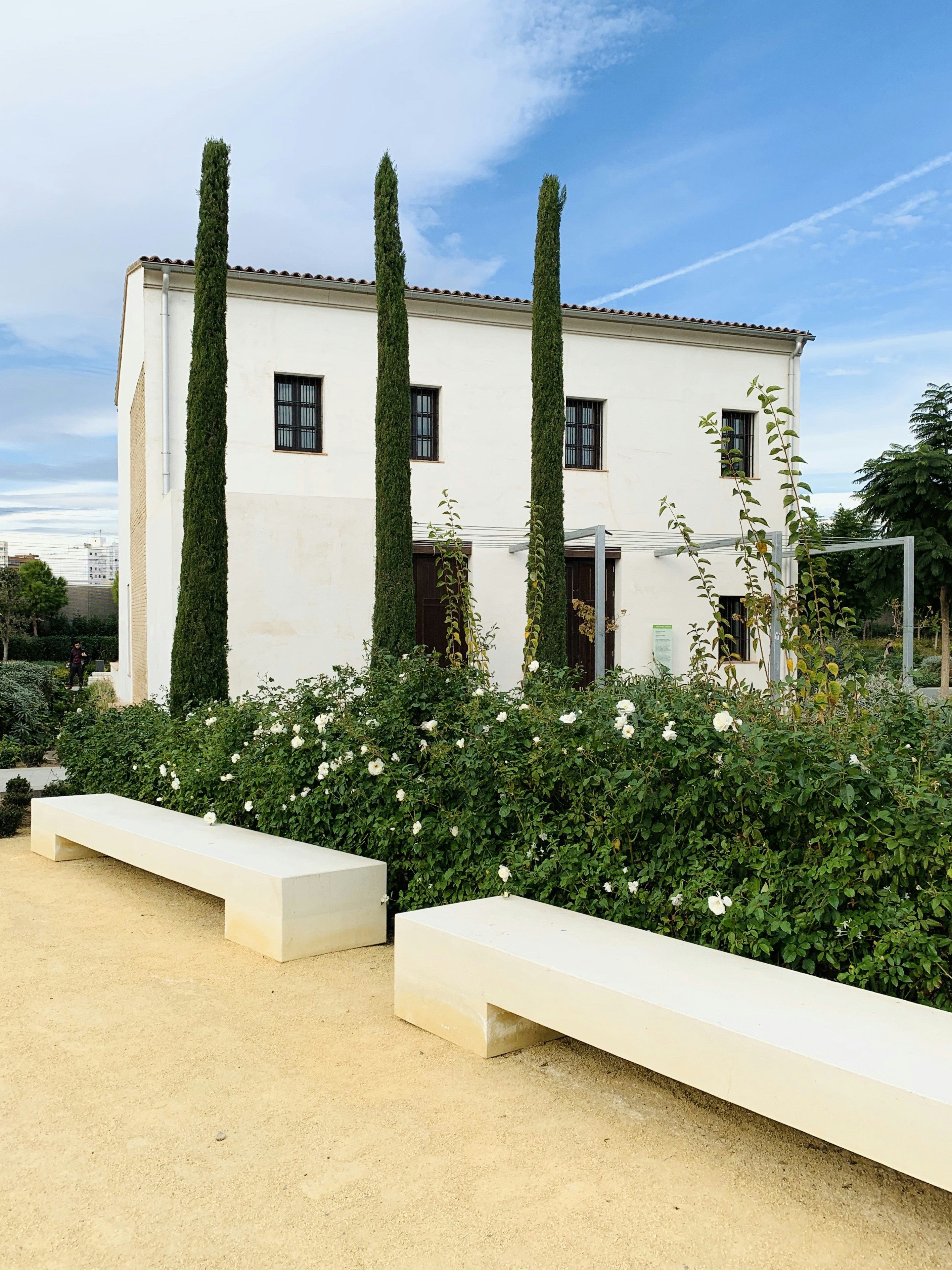 Contemporary building framed by tall cypress trees and blooming white roses in a landscaped garden. The scene evokes tranquility and harmony between architecture and nature.