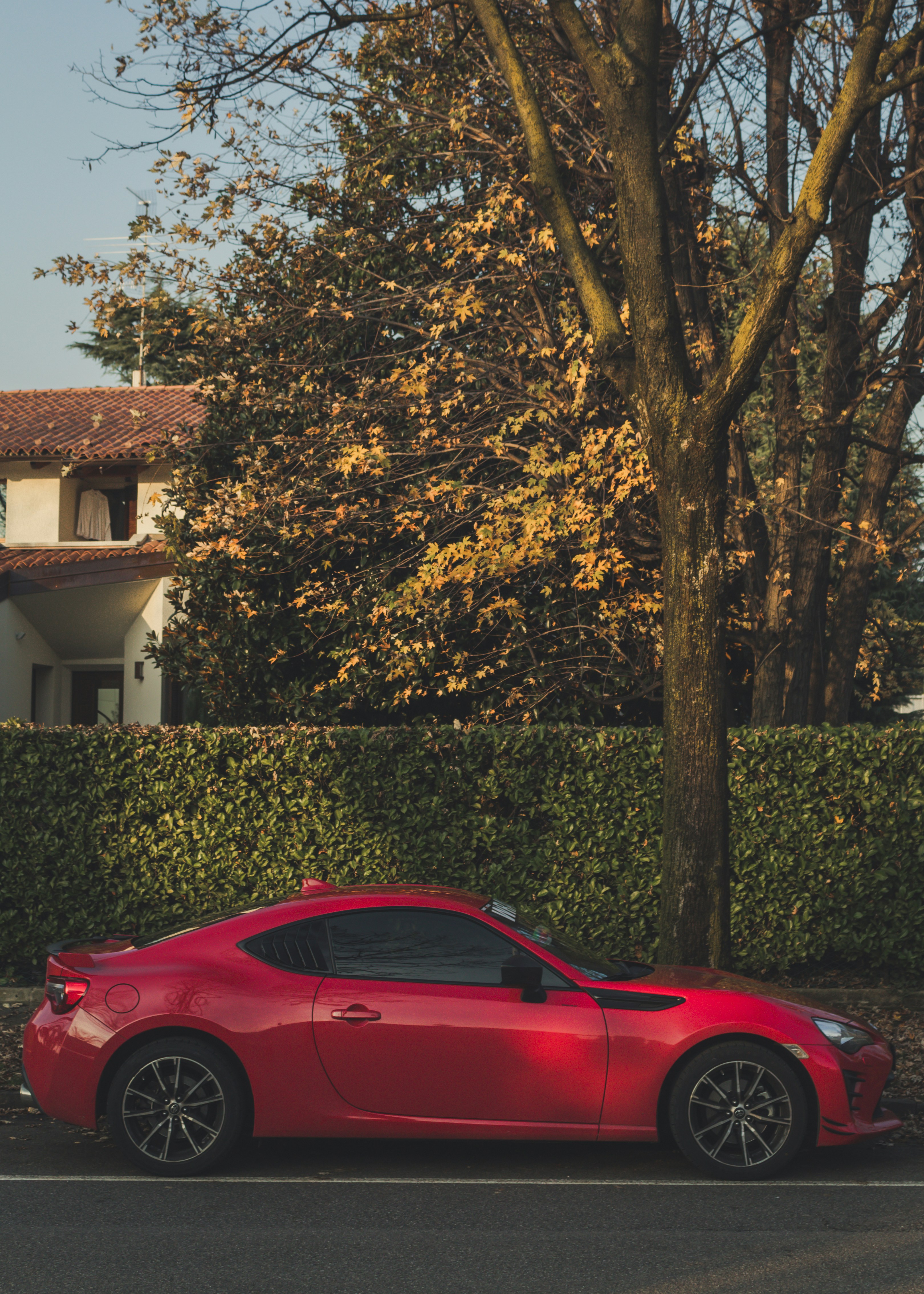 Red couple parked on sidewalk beside tree photo – Free Bergamo Image on ...