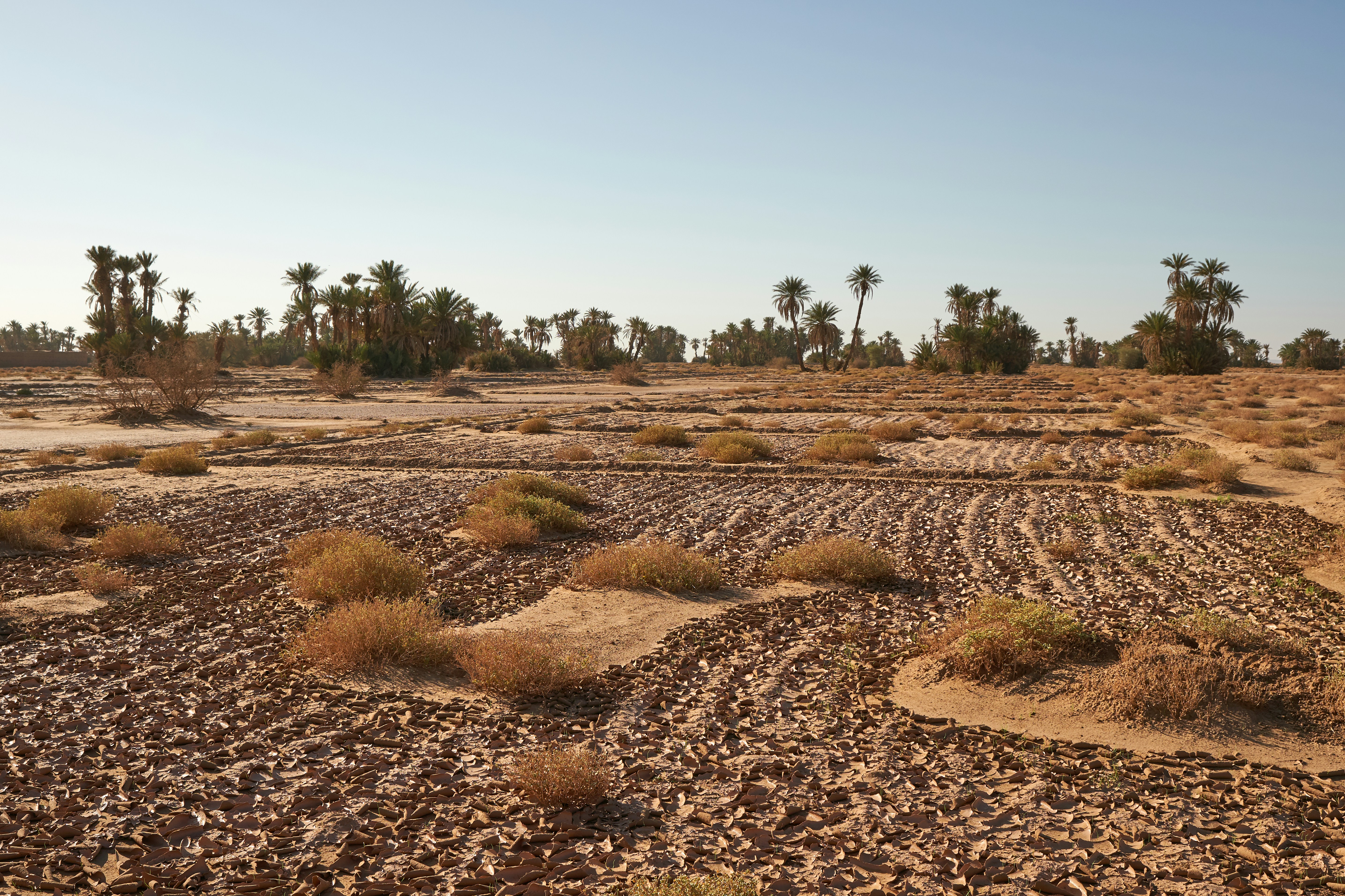 Photo by Wolfgang Hasselmann with Sony Alpha 6500