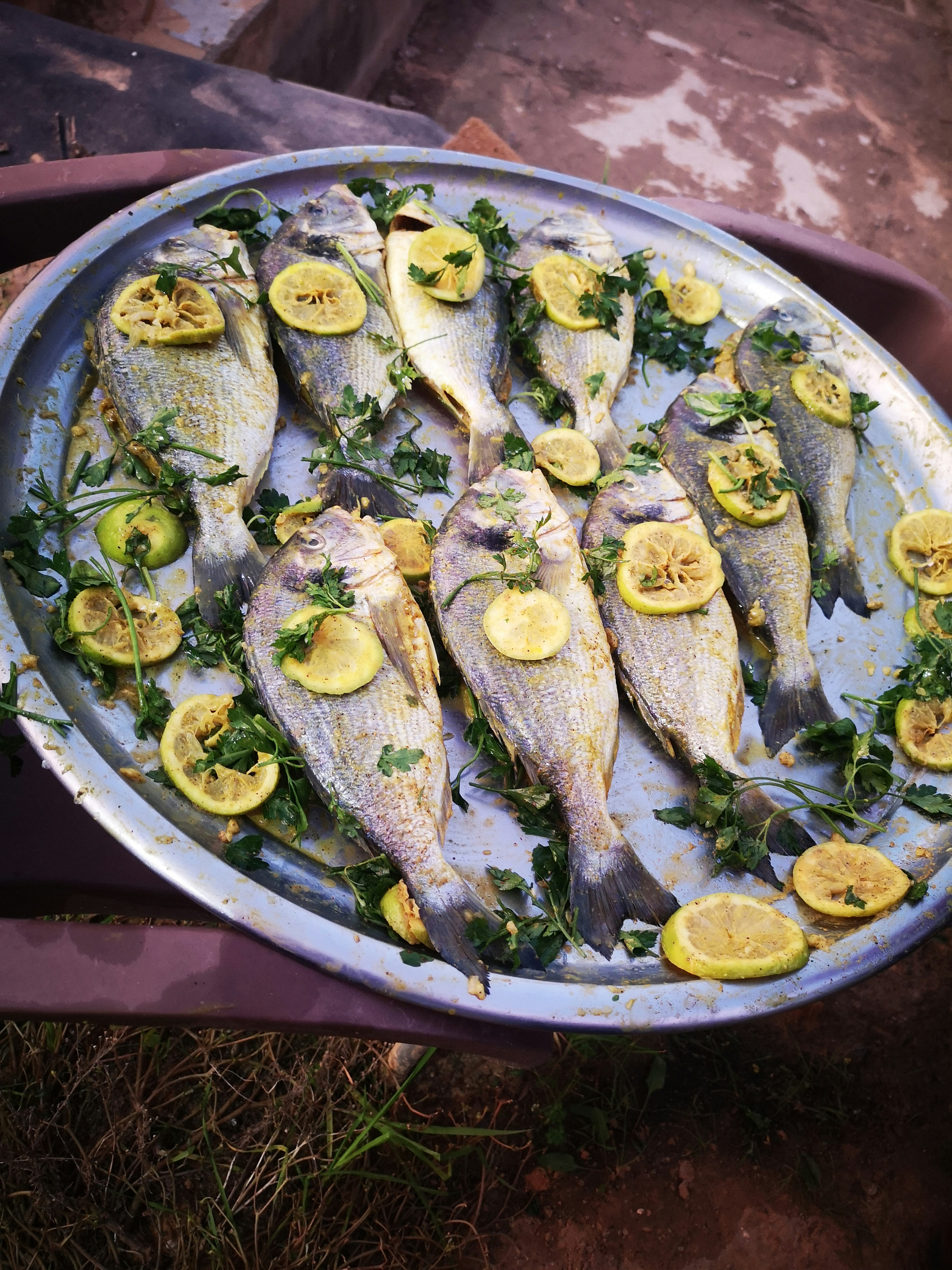 Fish Dish Pictures | Download Free Images on Unsplash