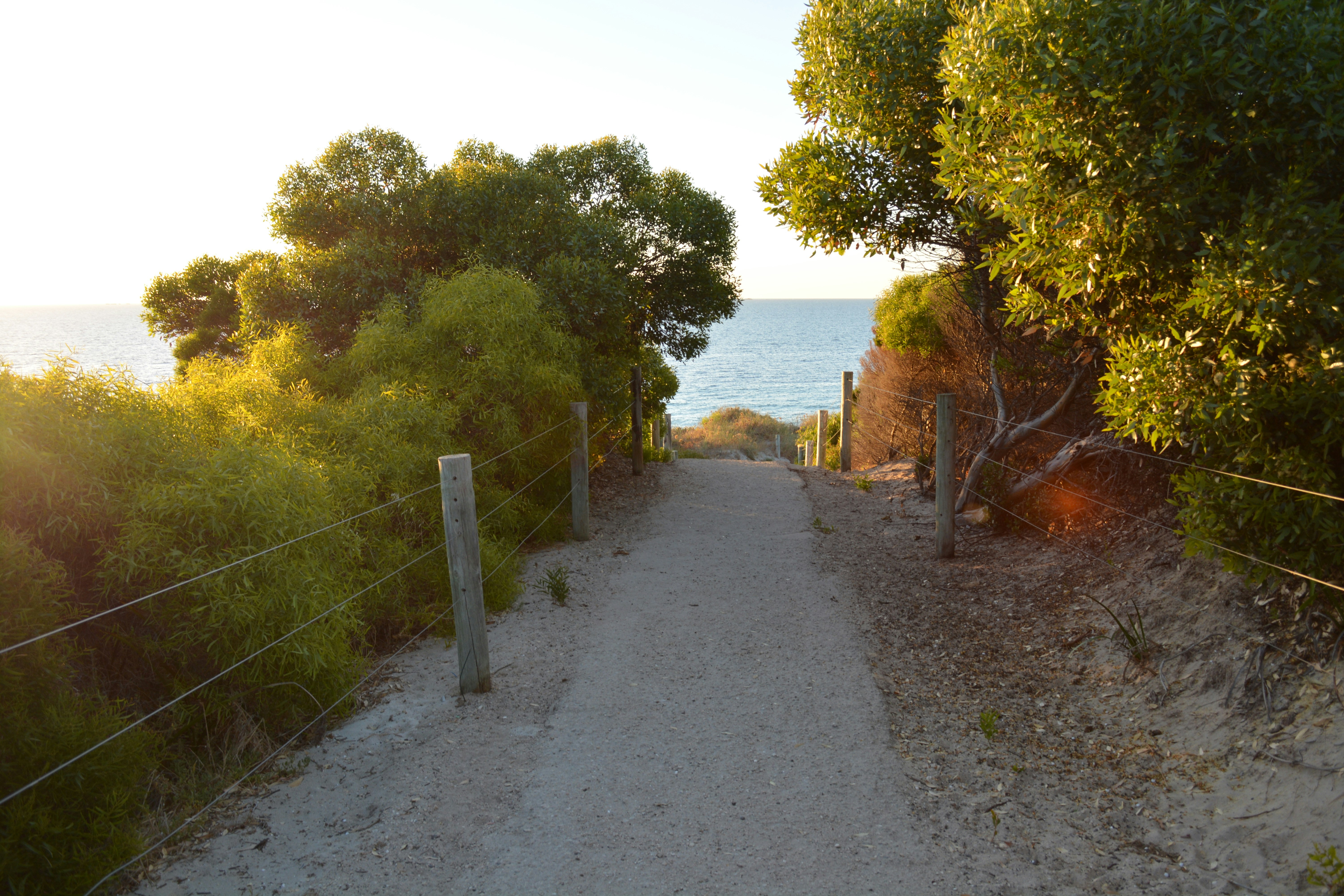 Empty pavement photo – Free Path Image on Unsplash